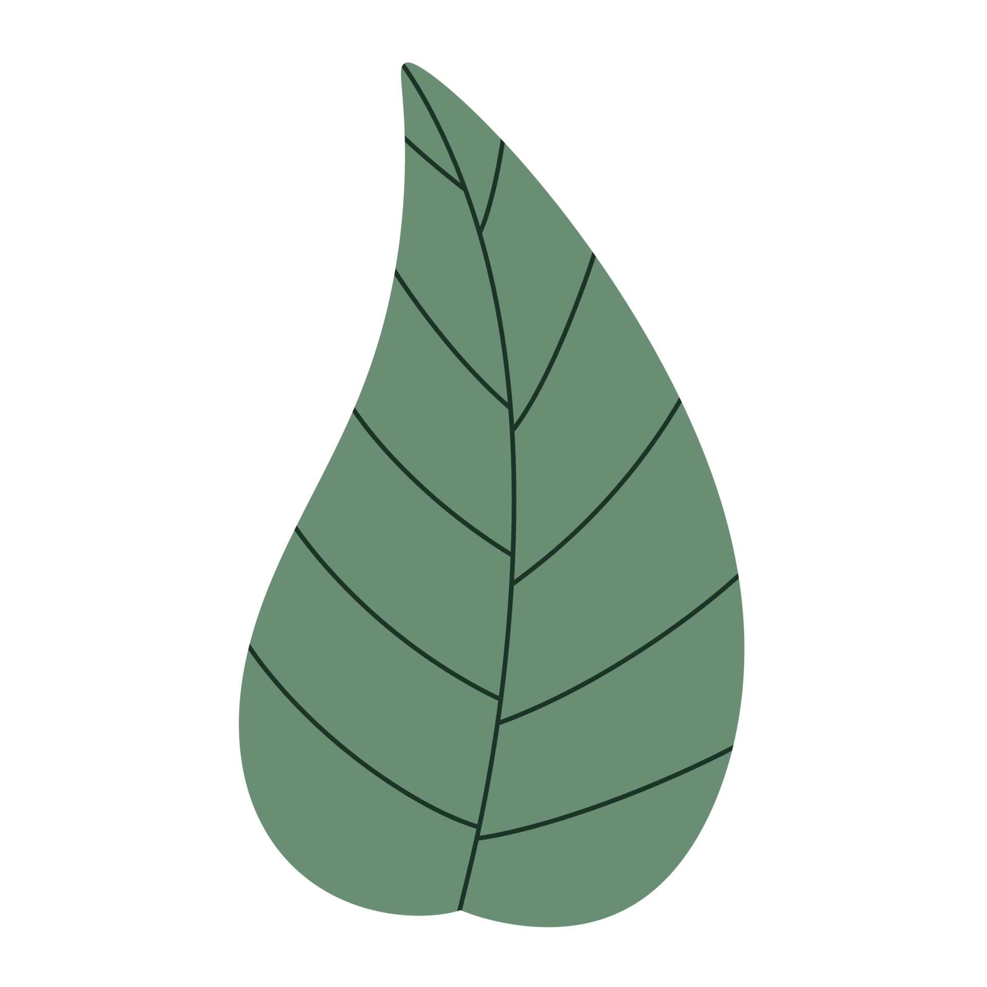 Leaf Element Icon 18818544 Png