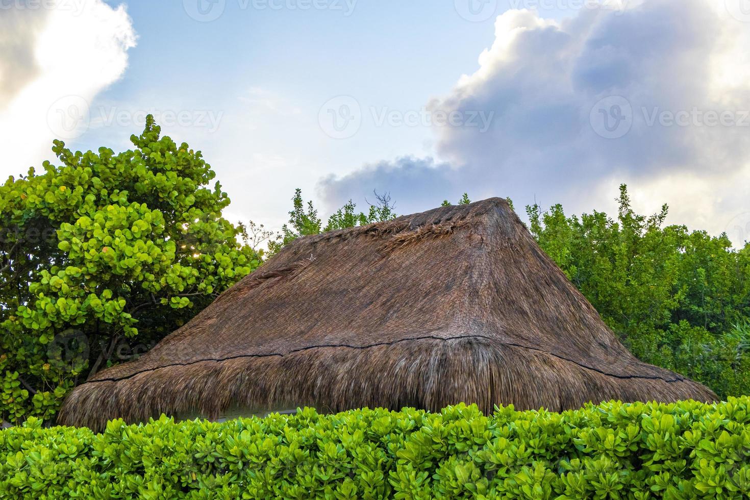 Palapa roof resort in tropical beach Playa del Carmen Mexico. 18854301 Stock Photo at Vecteezy