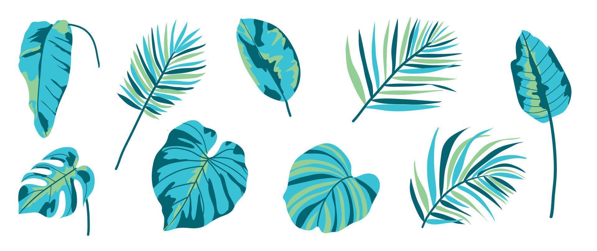 Hojas De La Selva Tropical Clipart Tucán Hojas De Selva Tropical De