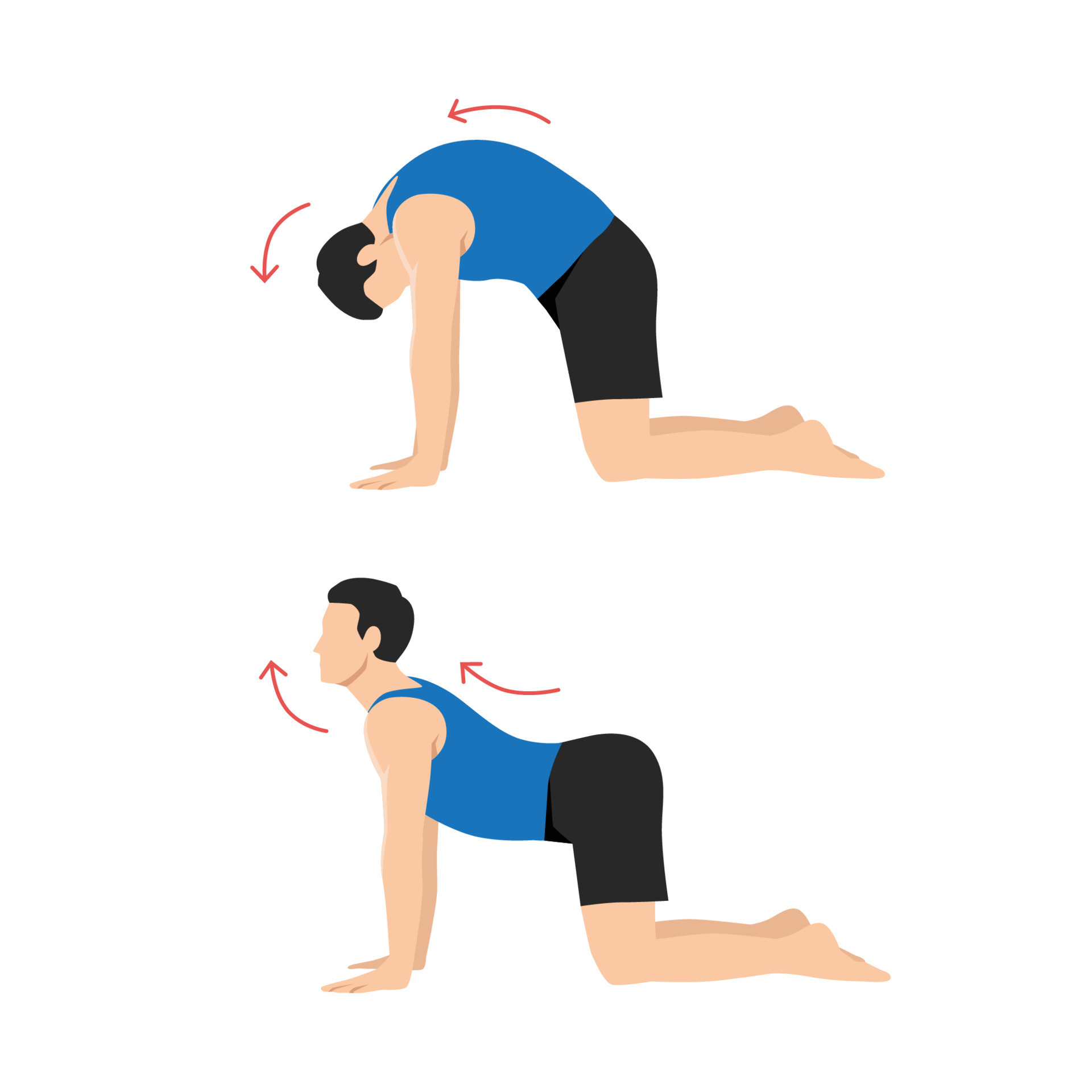 Man doing Yoga. cat cow pose stretch exercise. Flat vector illustration ... Man doing Yoga. cat cow pose stretch exercise. Flat vector illustration ...