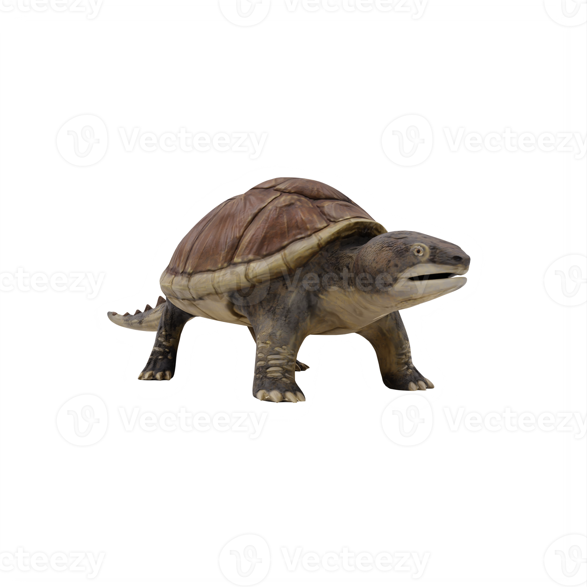 3d Snapping turtle isolated 18875923 PNG