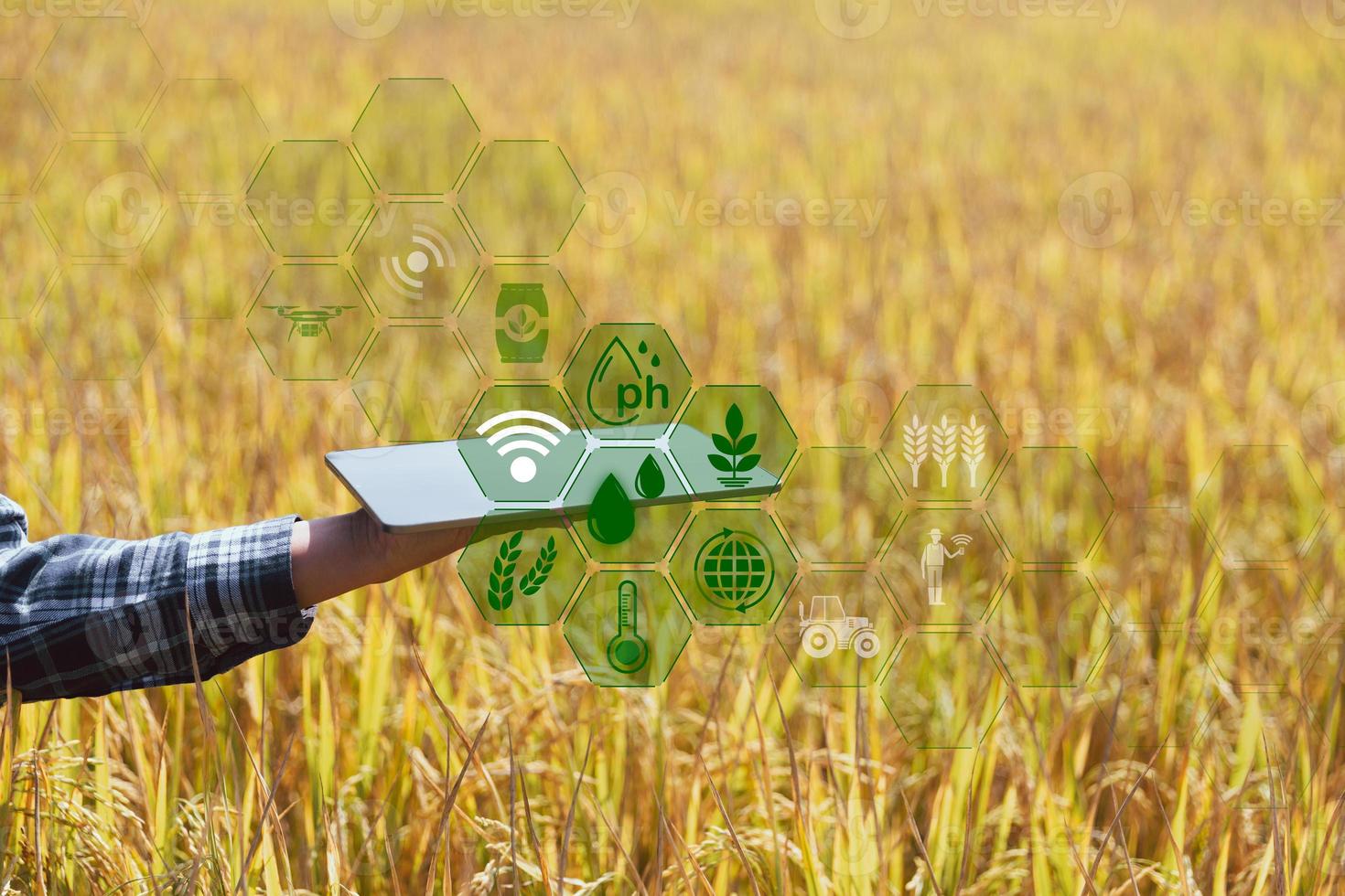 Smart farming Agricultural technology and organic agriculture Woman using research tablet and ...