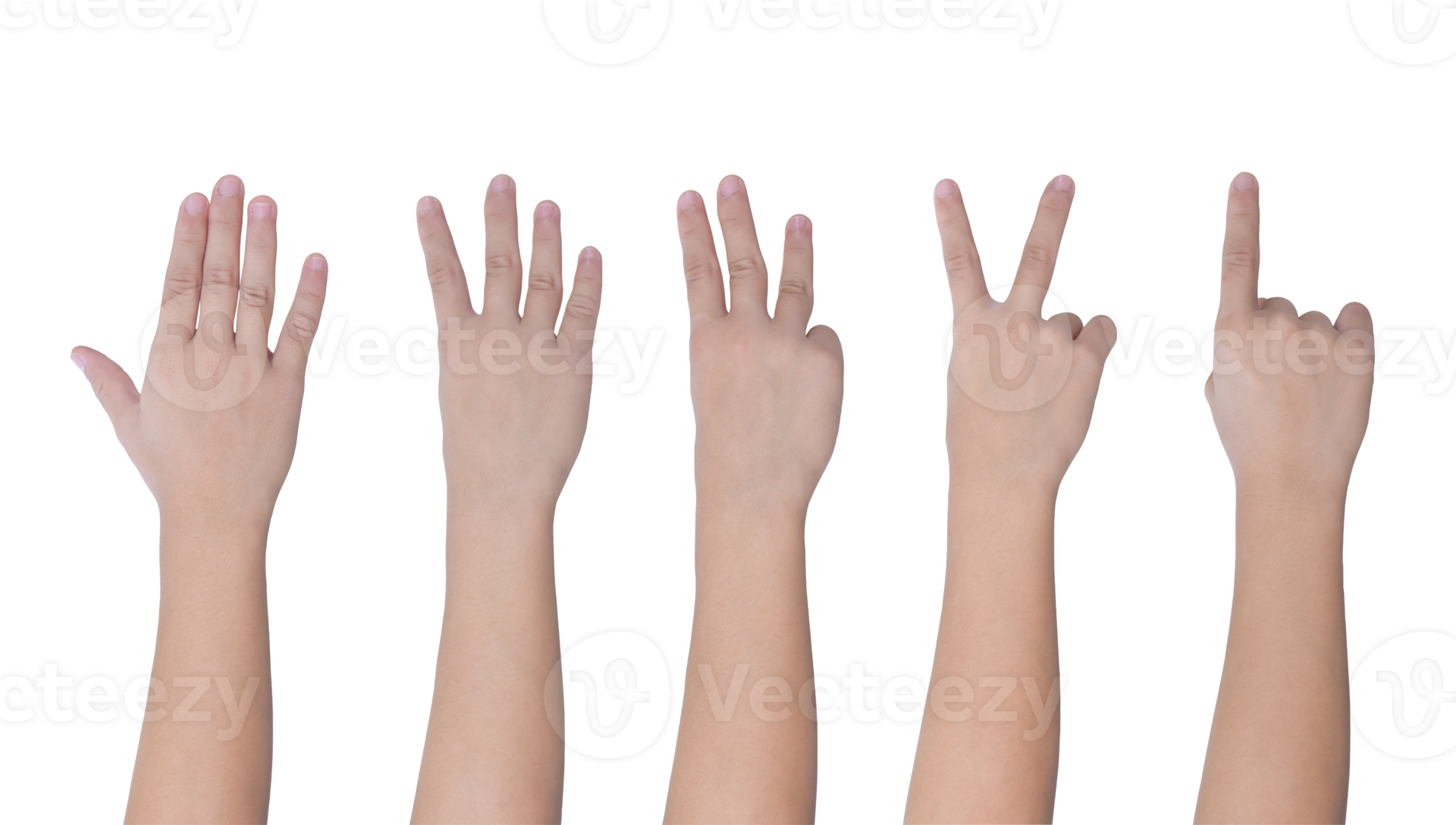 Children hand showing one to five fingers count isolated on transparent ... Children hand showing one to five fingers count isolated on transparent ...