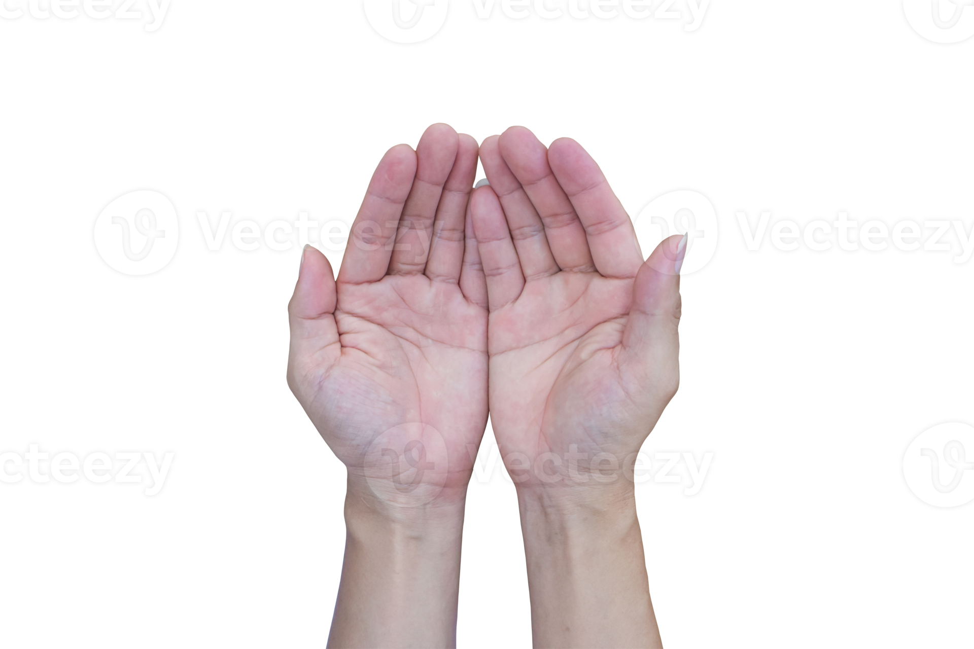 Two open hand isolated on transparent background PNG file 18922660 PNG