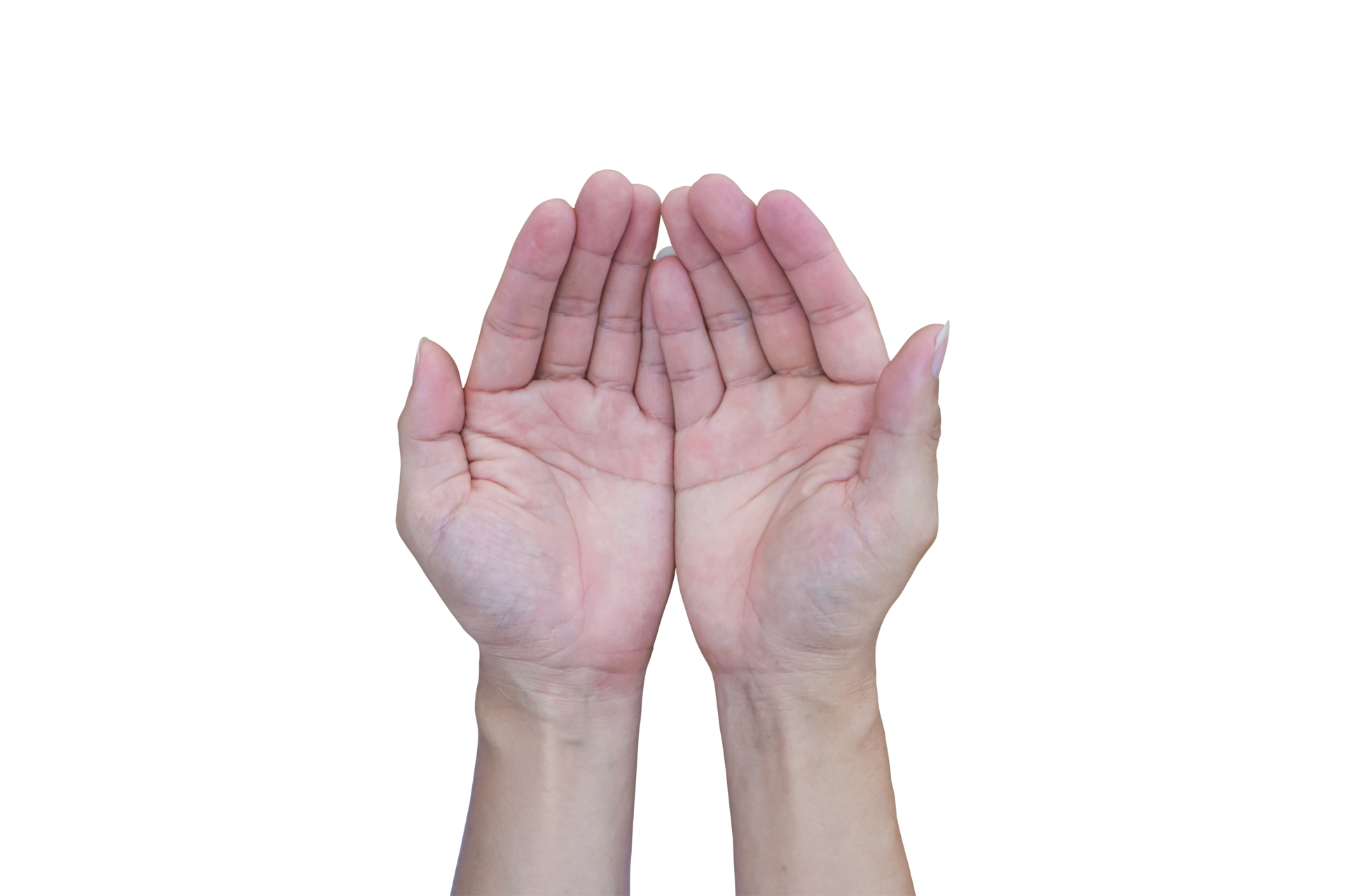 Cupped Hands Png Cupped Hands Png