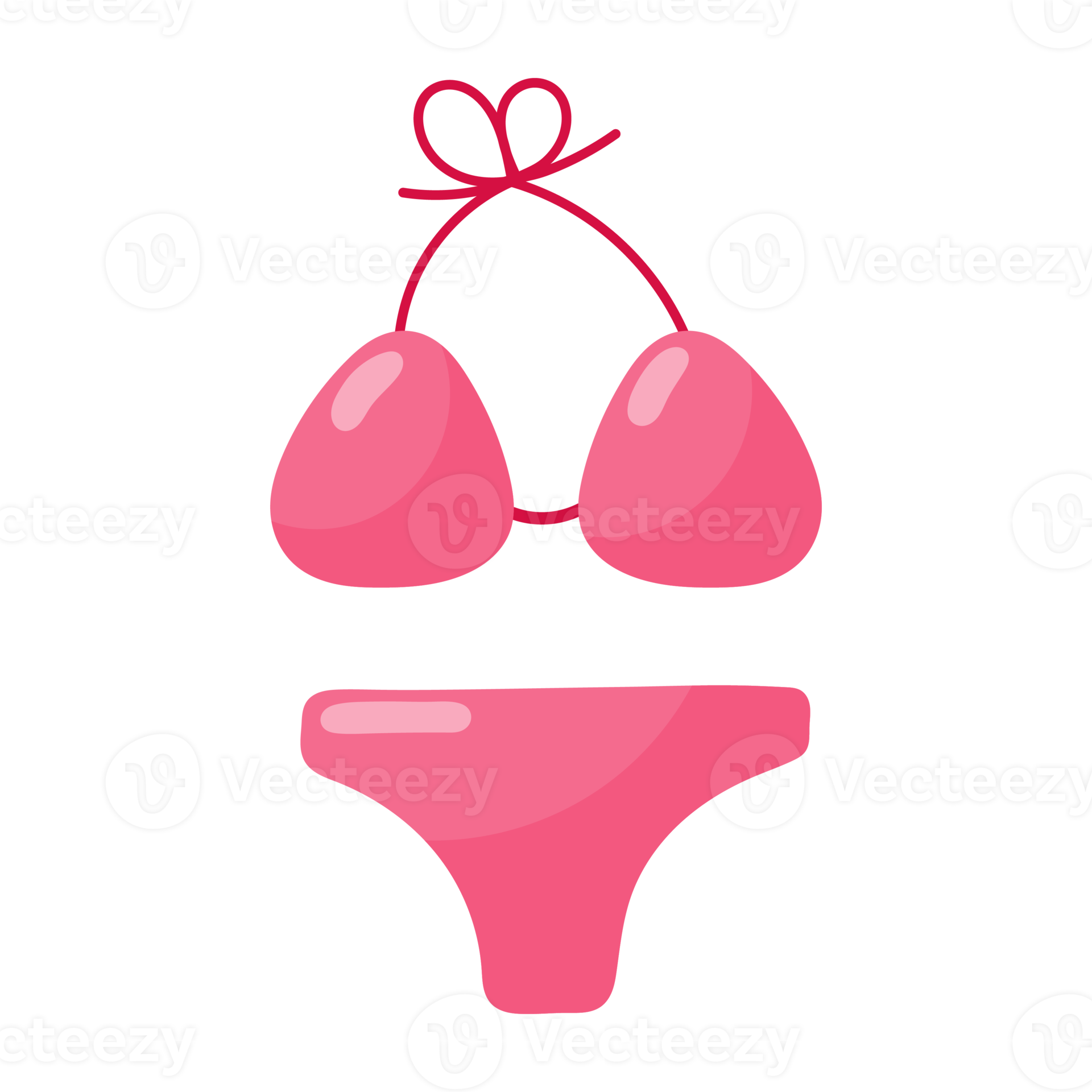 Pink Bikini Icon 18931346 Png