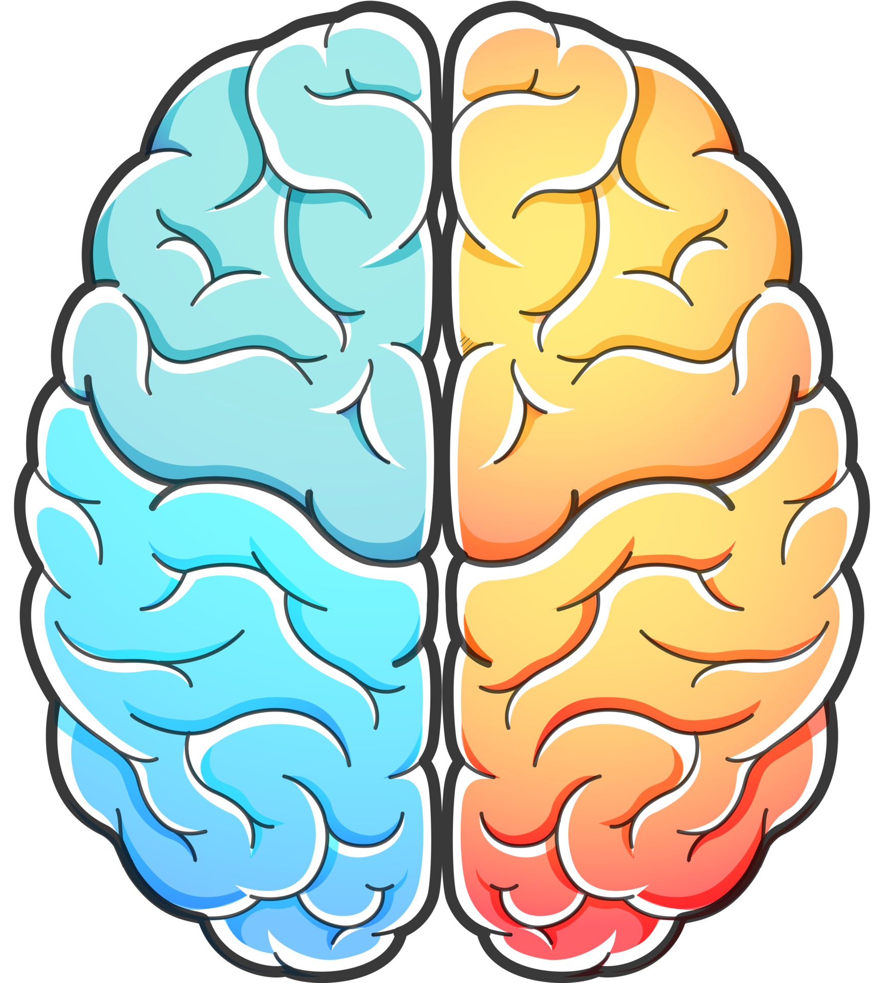 Cerebro Humano Png Dibujos Clipart De Cerebro Humanidad Cerebro🍃