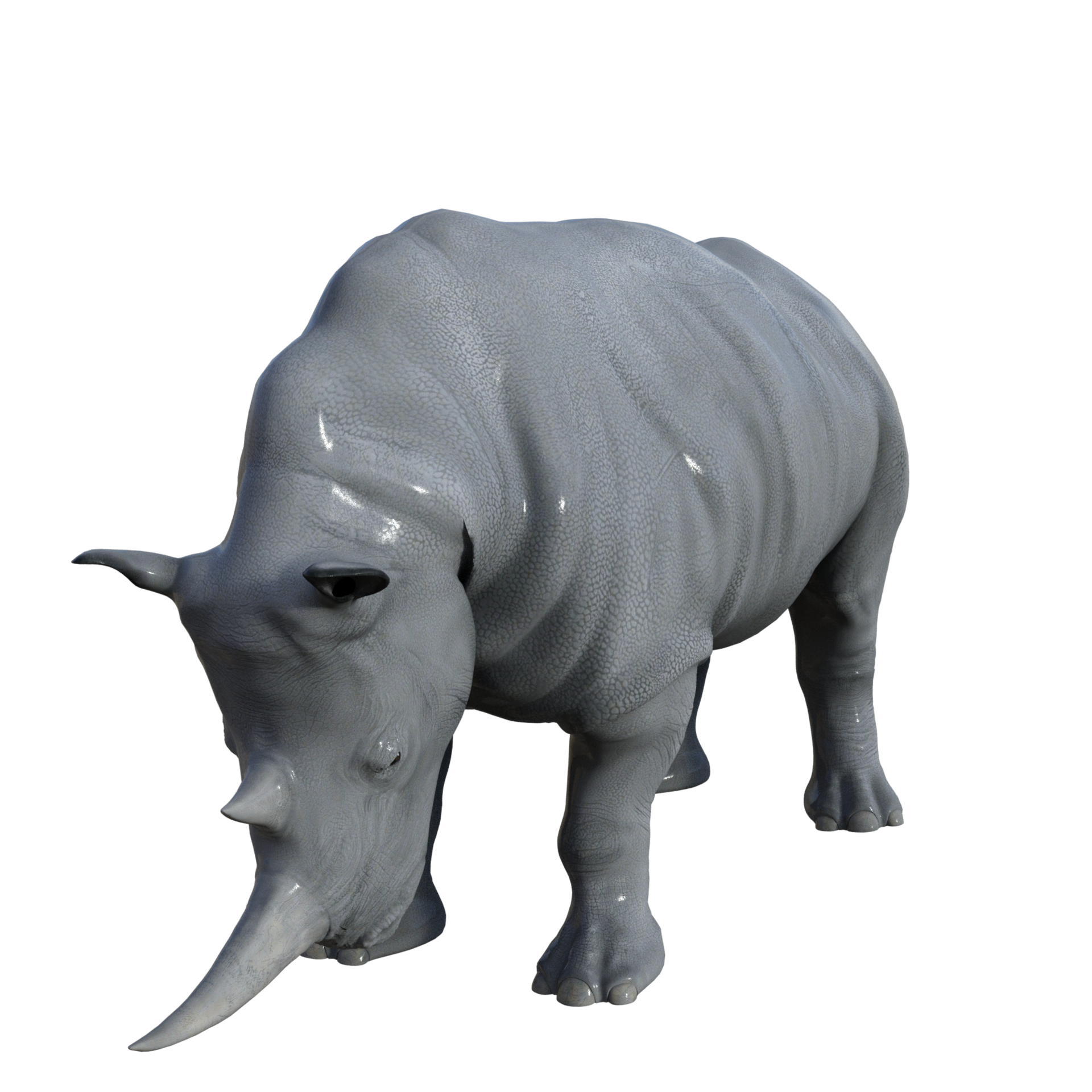 Rhinoceros 3d Render