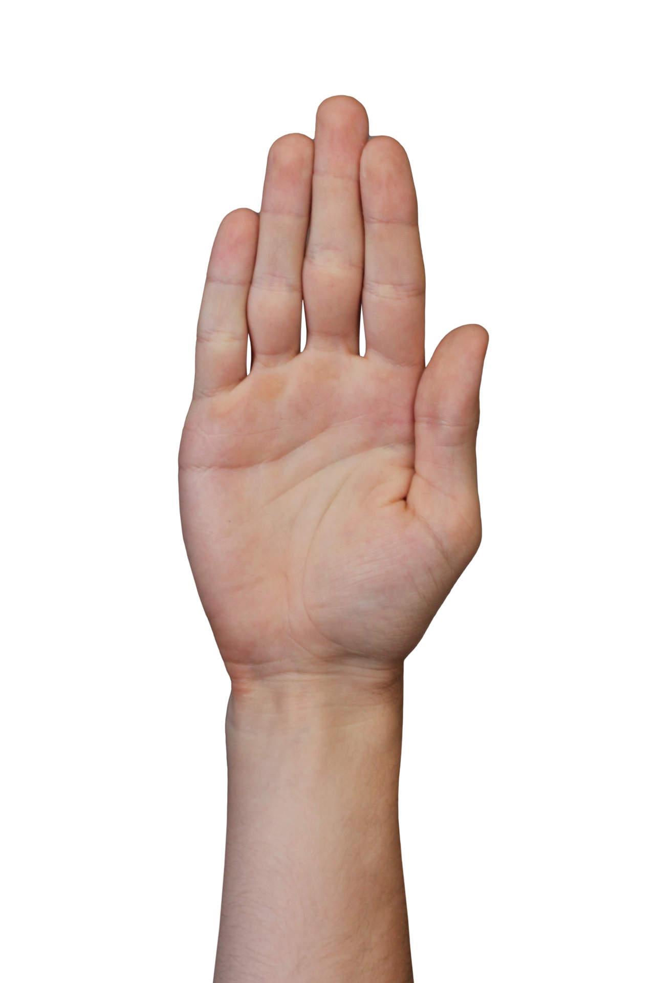 M os Humanas Param Gestos Imagens Transparentes Realistas 18973377 PNG m-os-humanas-param-gestos-imagens-transparentes-realistas-18973377-png