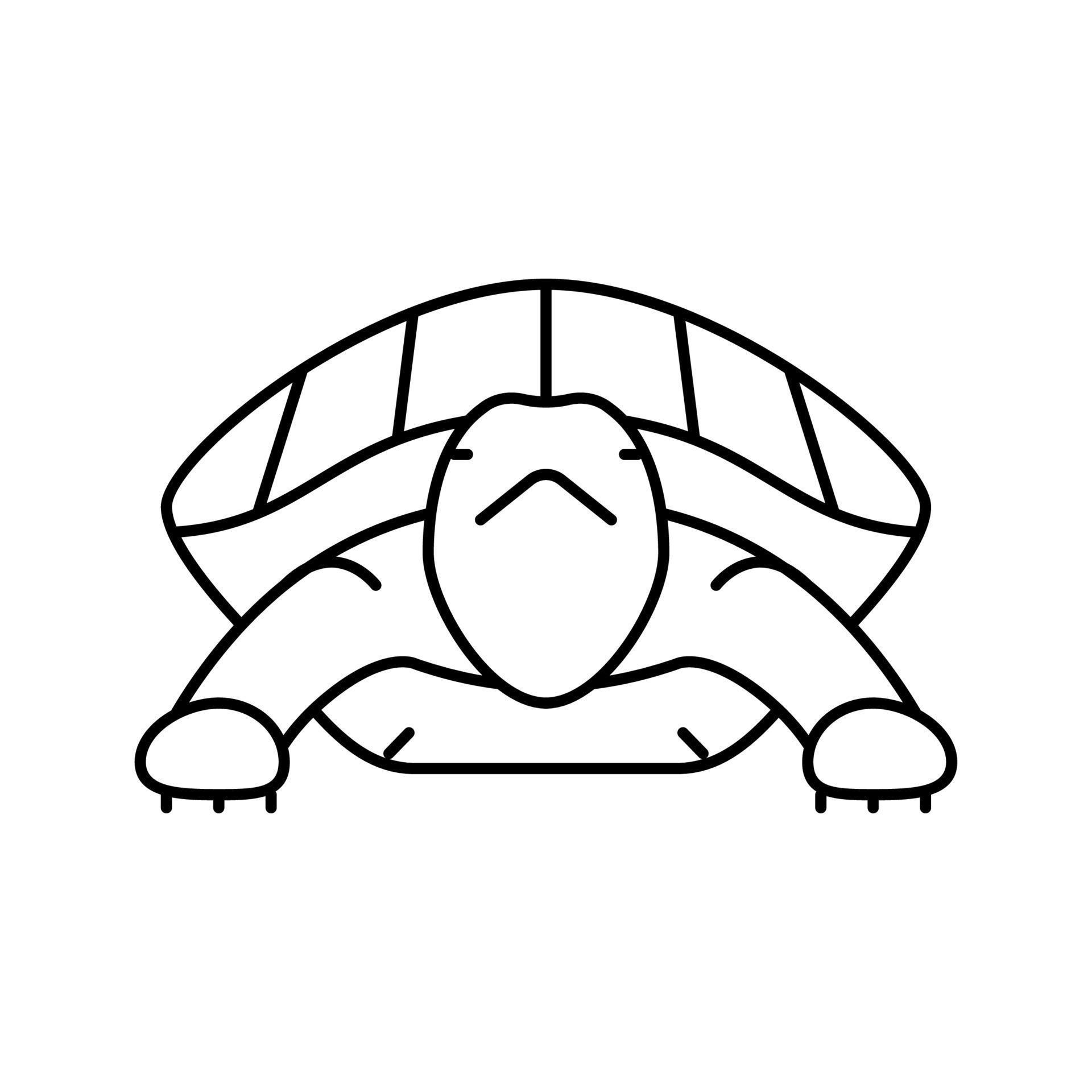 turtle tropical line icon vector illustration 18997902 Vector Art at ...