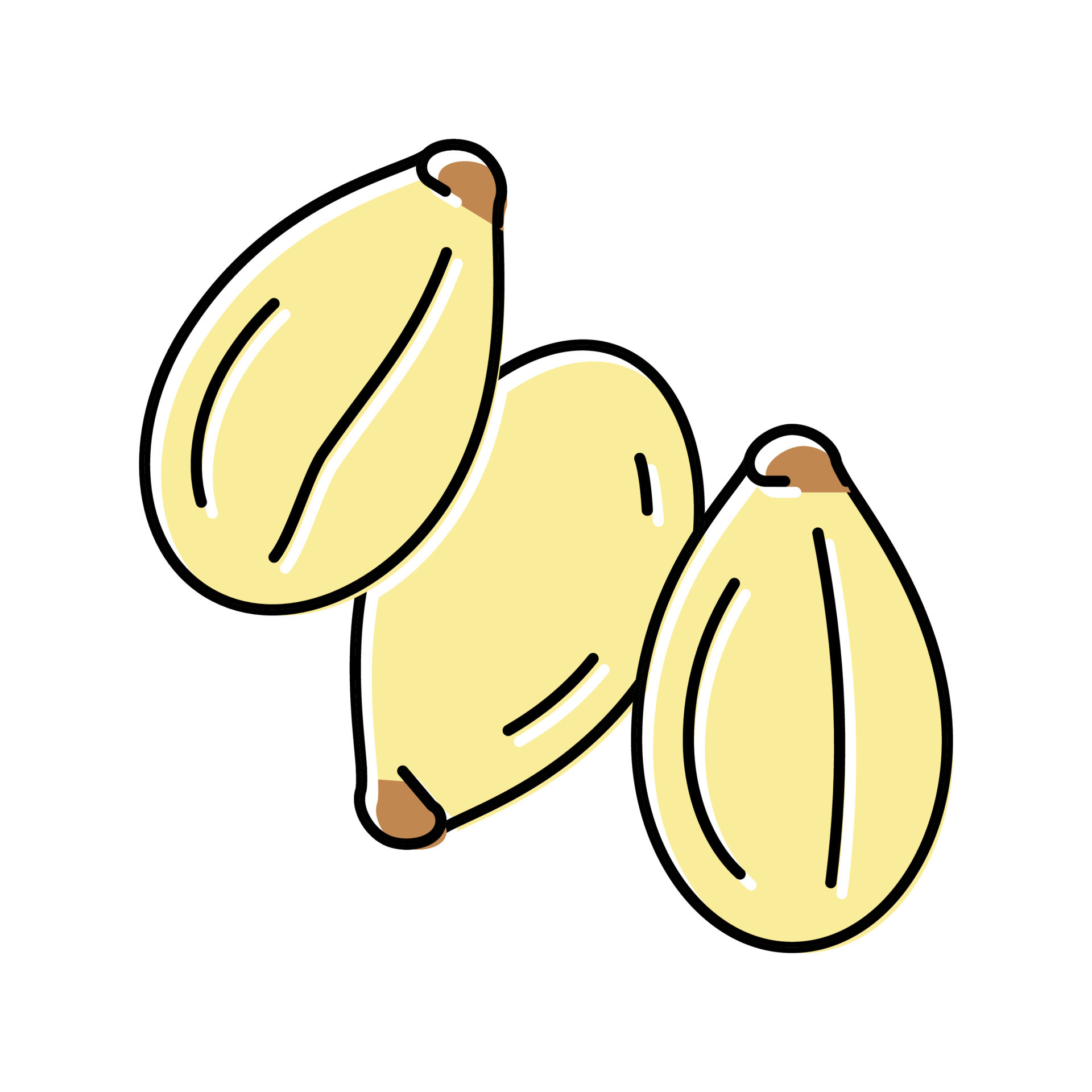 Sesame Seed Color Icon Vector Illustration 18998687 Vector Art At Vecteezy