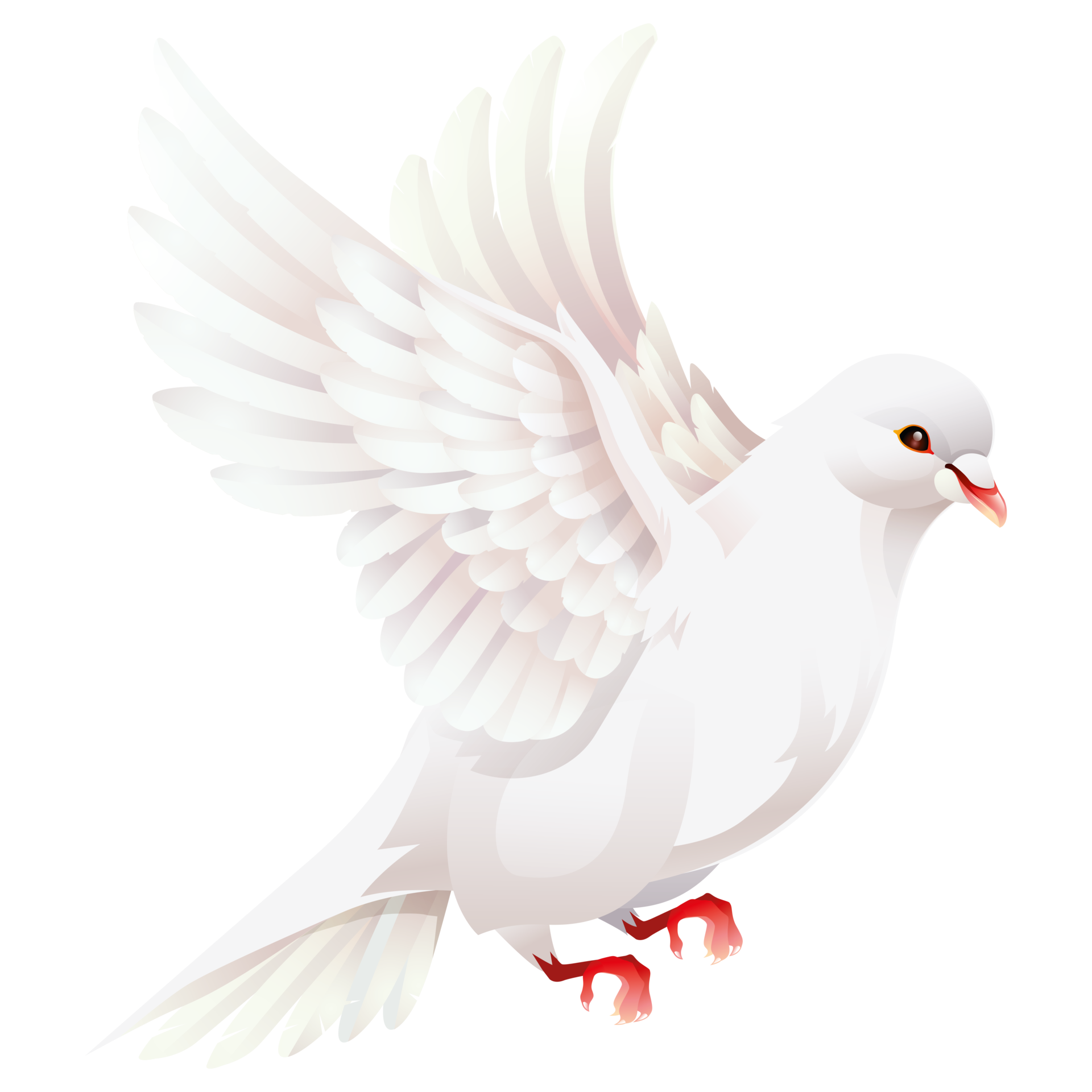 A Pomba Da Paz Png Asas De Pomba Branca Branco Pomba - vrogue.co A Pomba Da Paz Png Asas De Pomba Branca Branco Pomba - vrogue.co