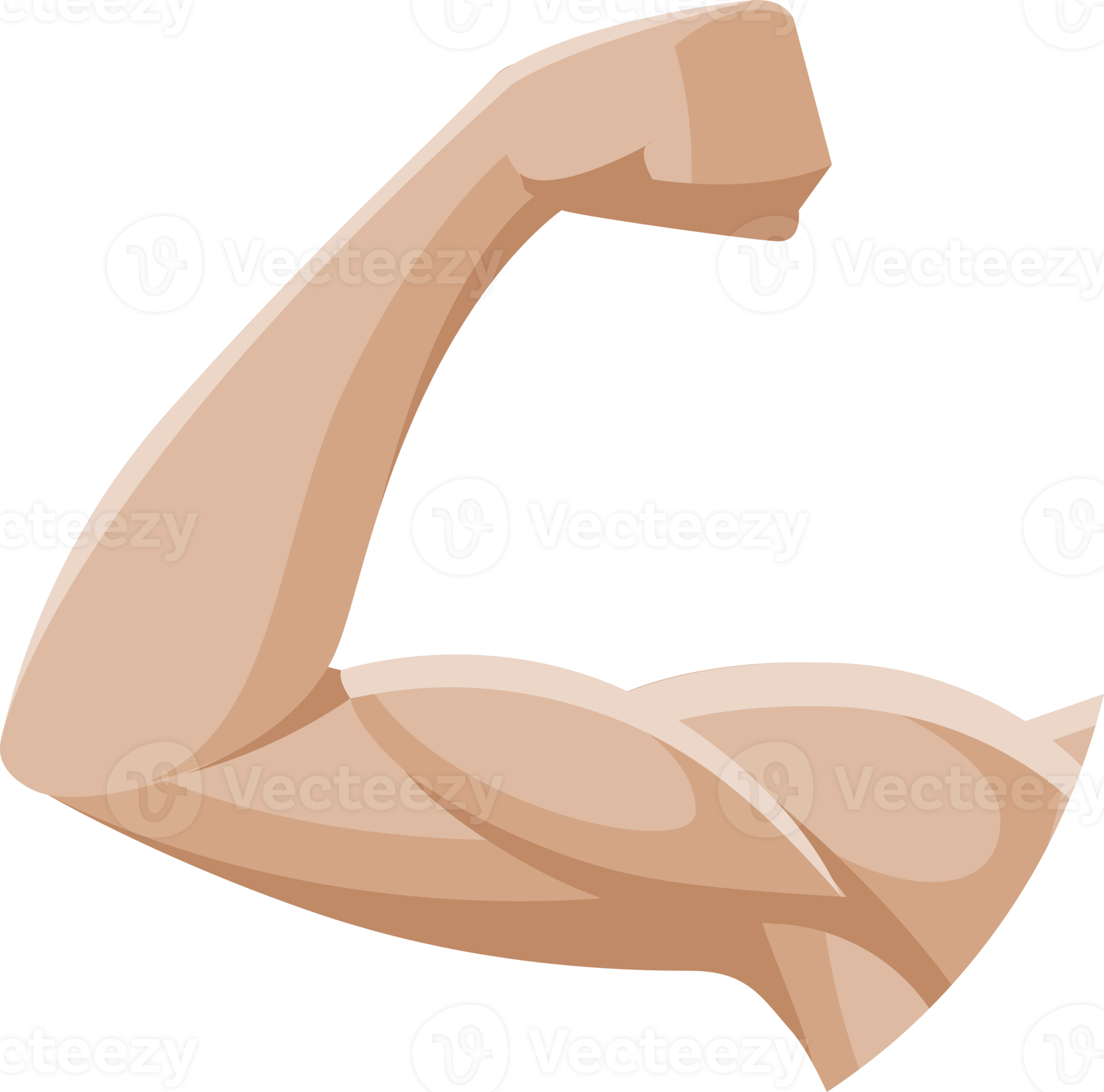 muscle arm symbol 19013252 PNG muscle arm symbol 19013252 PNG