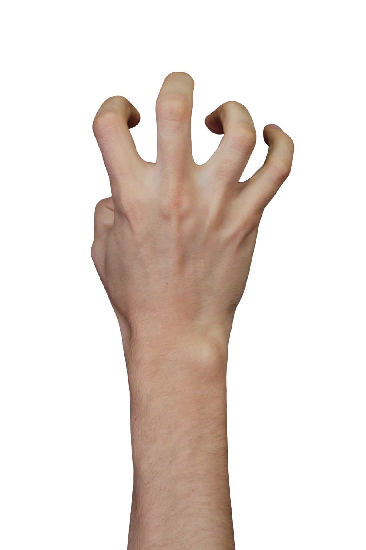 Two Hand PNGs for Free Download Two Hand PNGs for Free Download