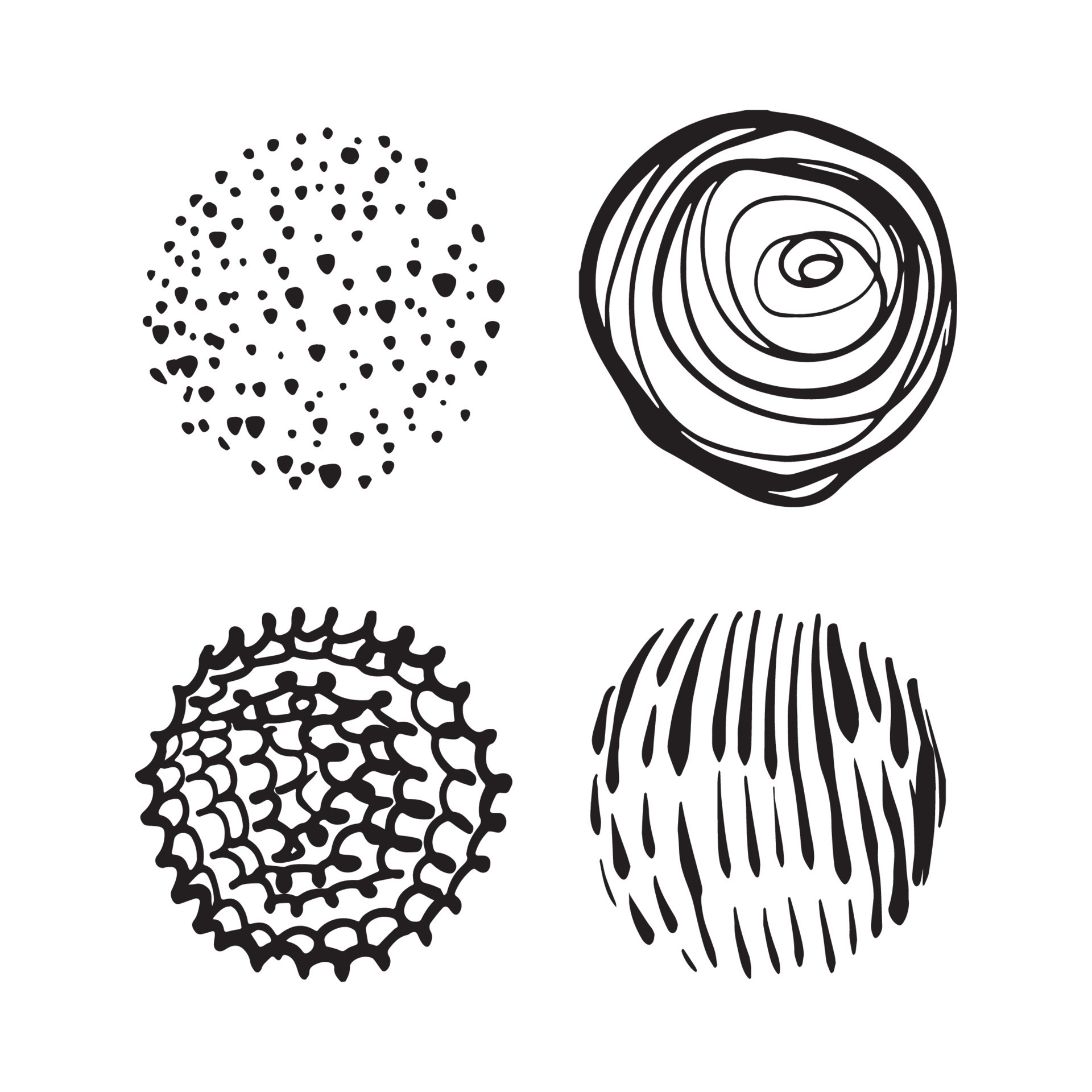 Set of Textured Circles with Patterns 19019868 Vector Art at Vecteezy