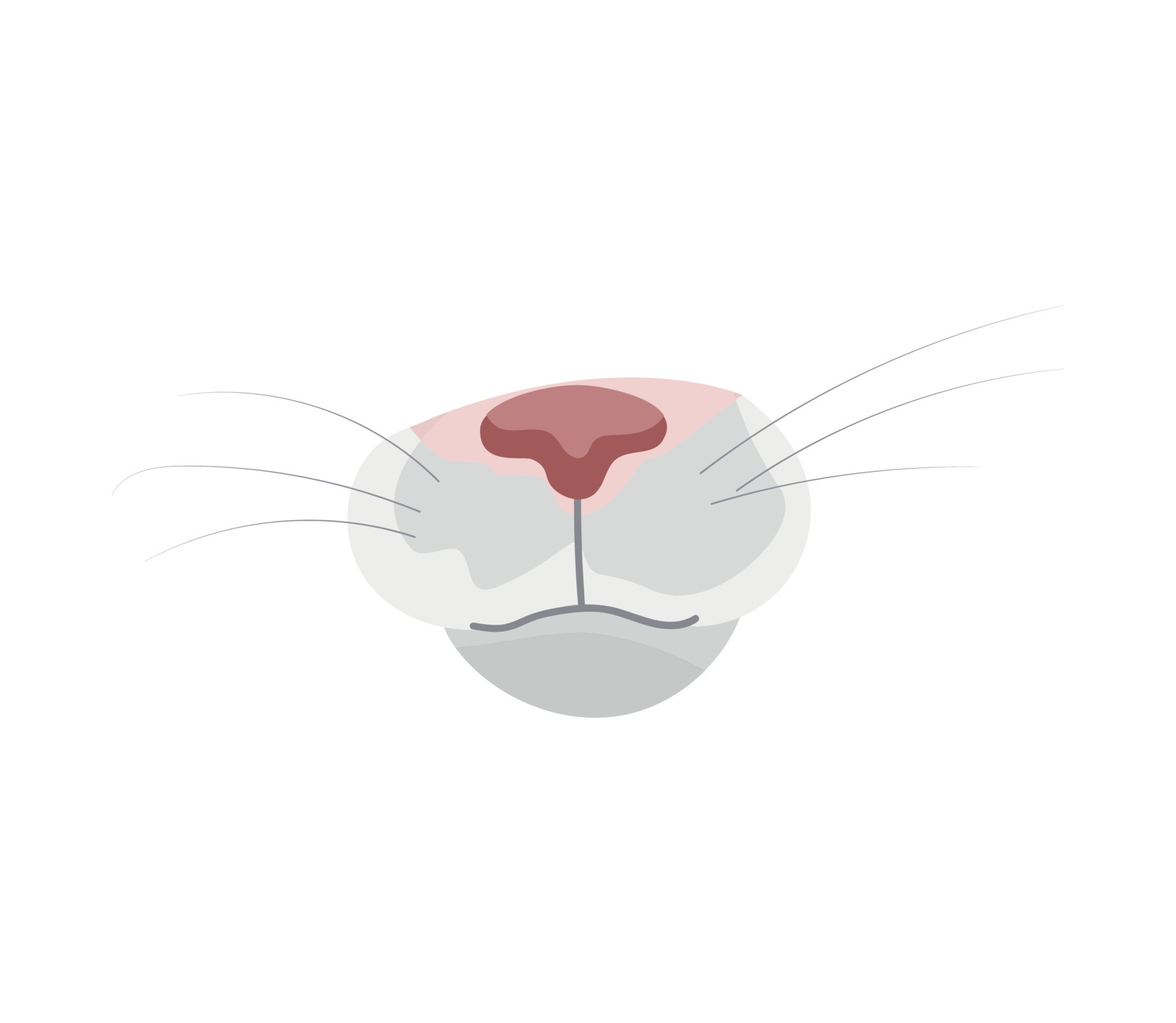 Vector Illustration Of Cat Nose 19021291 Vector Art At Vecteezy