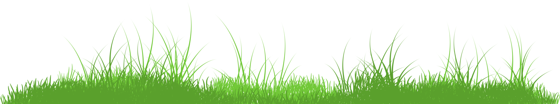 Grass Border Png 19029604 Png