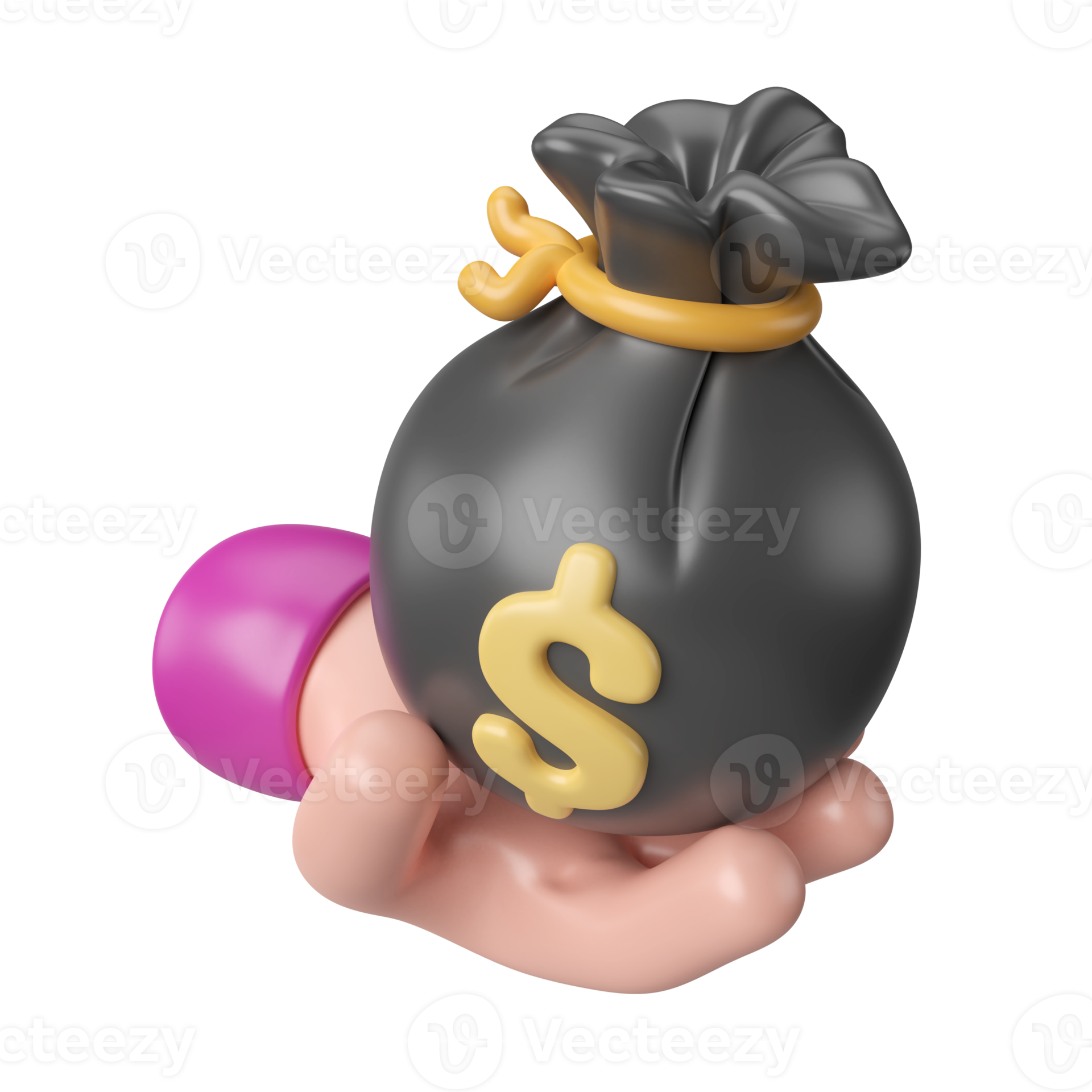 Salary 3D Illustration Icon 19031285 PNG