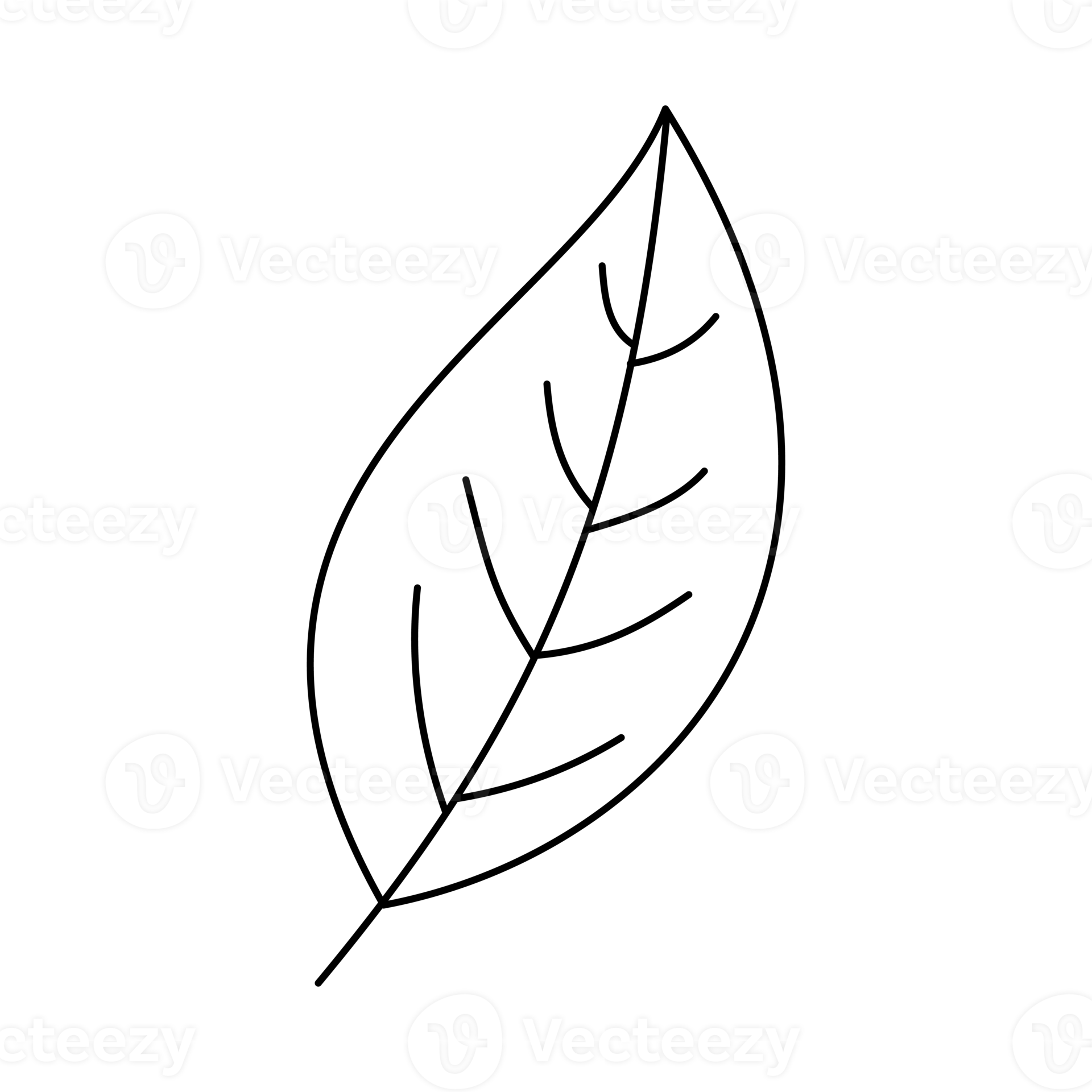 simple leaf line art 19044654 PNG