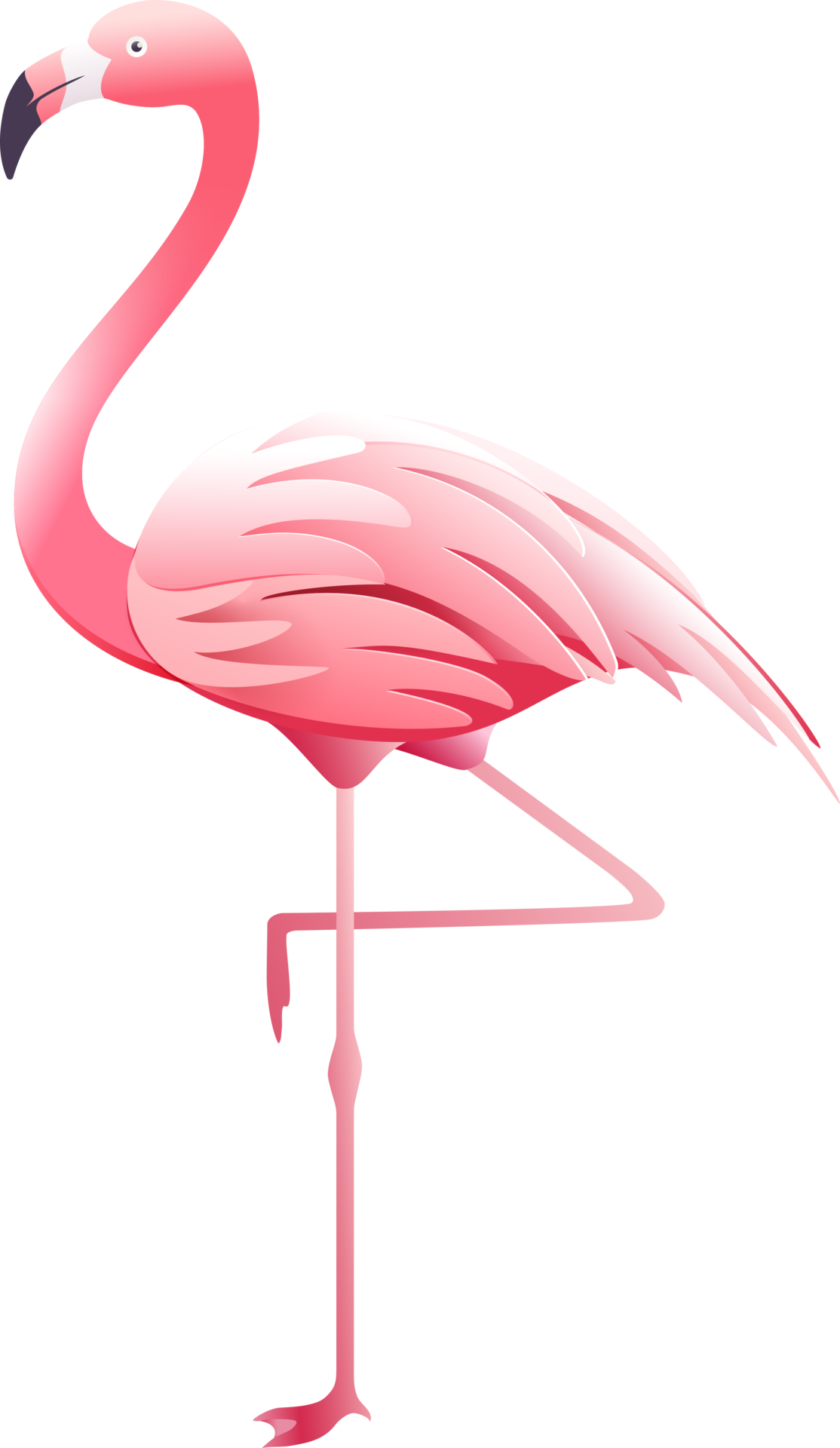 Pink Flamingo Illustration 19046236 Png