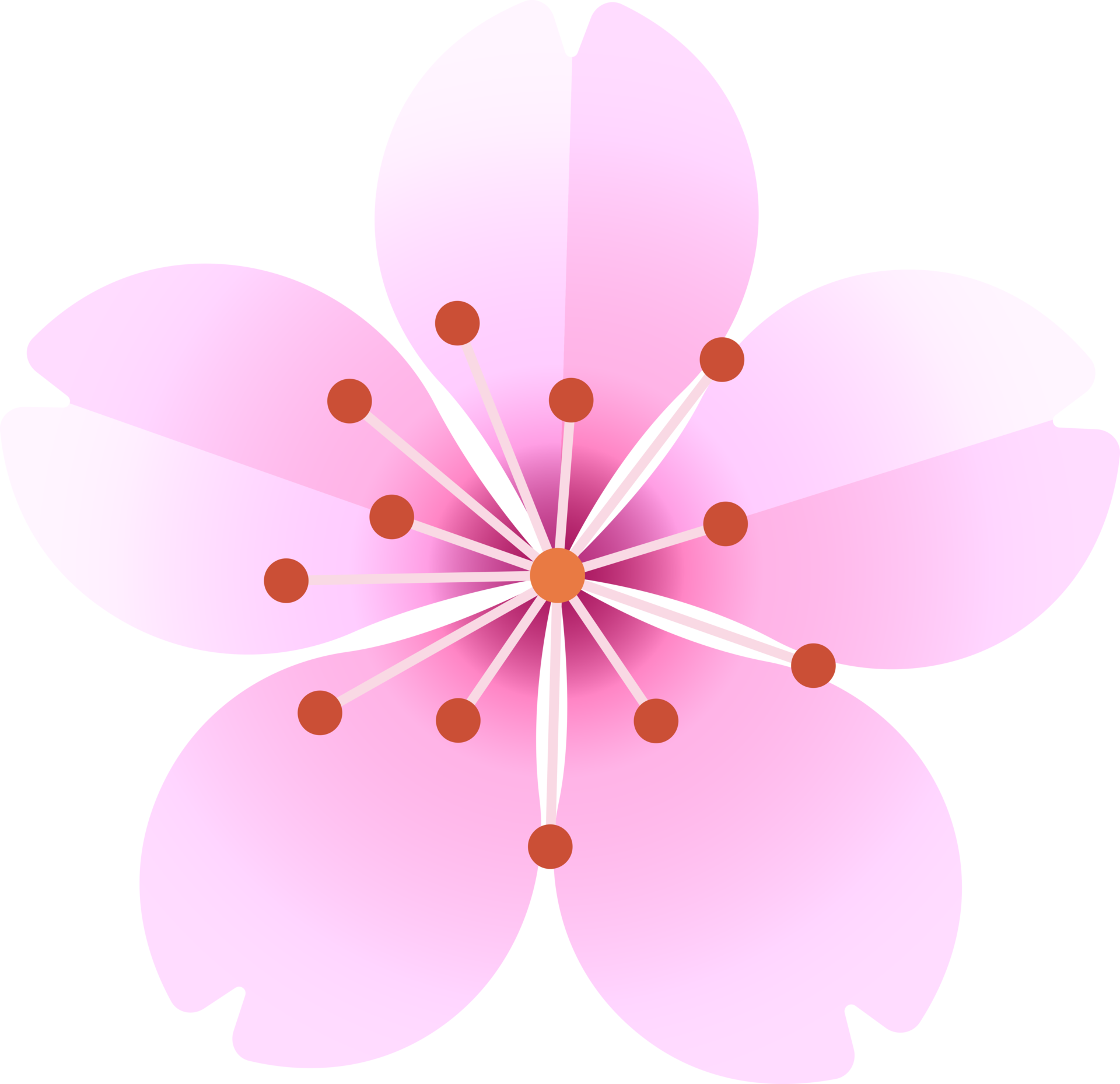 Sakura Flower