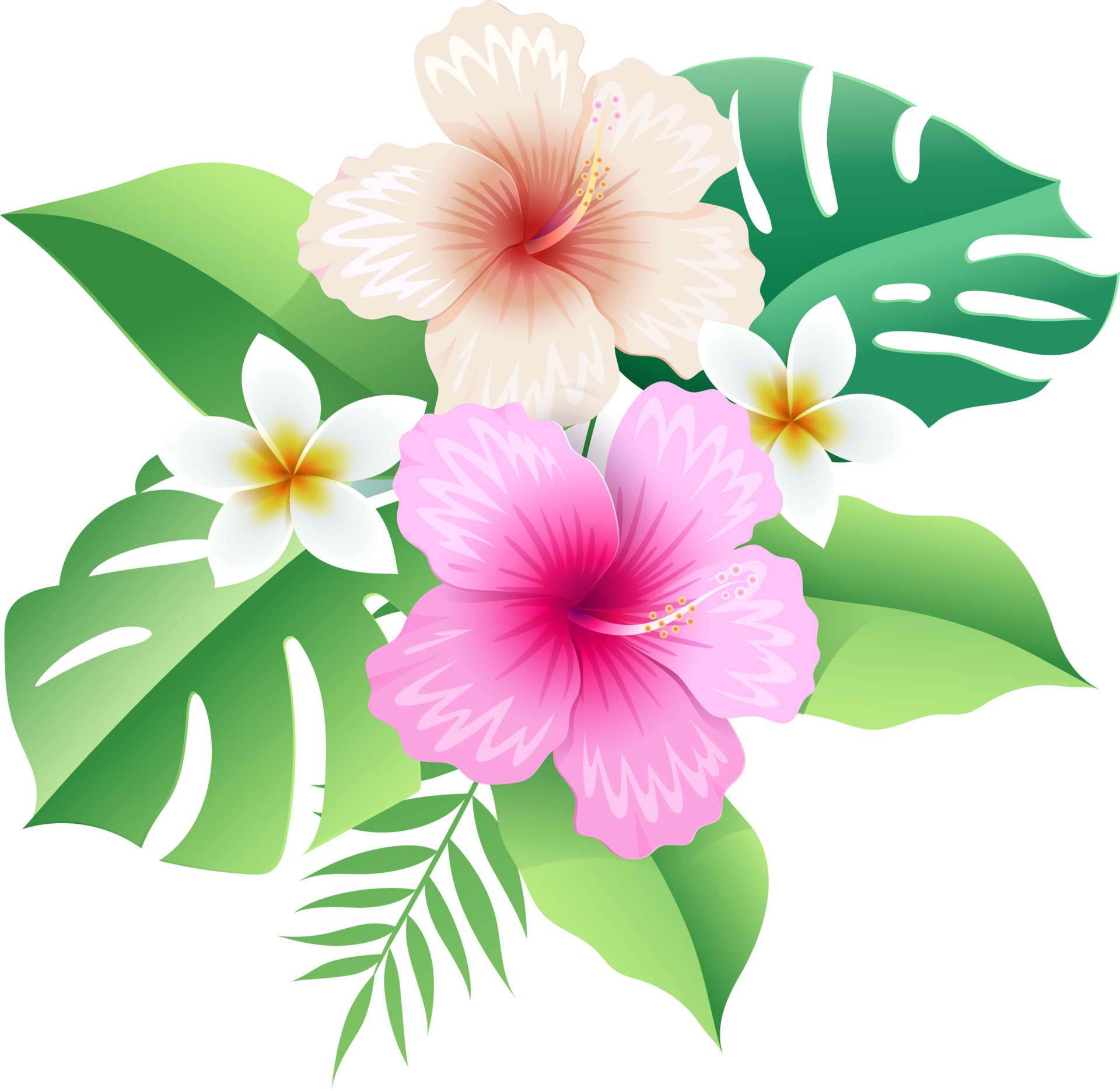 Hibiscus Flowers On Tropical Leaf 19050940 Png