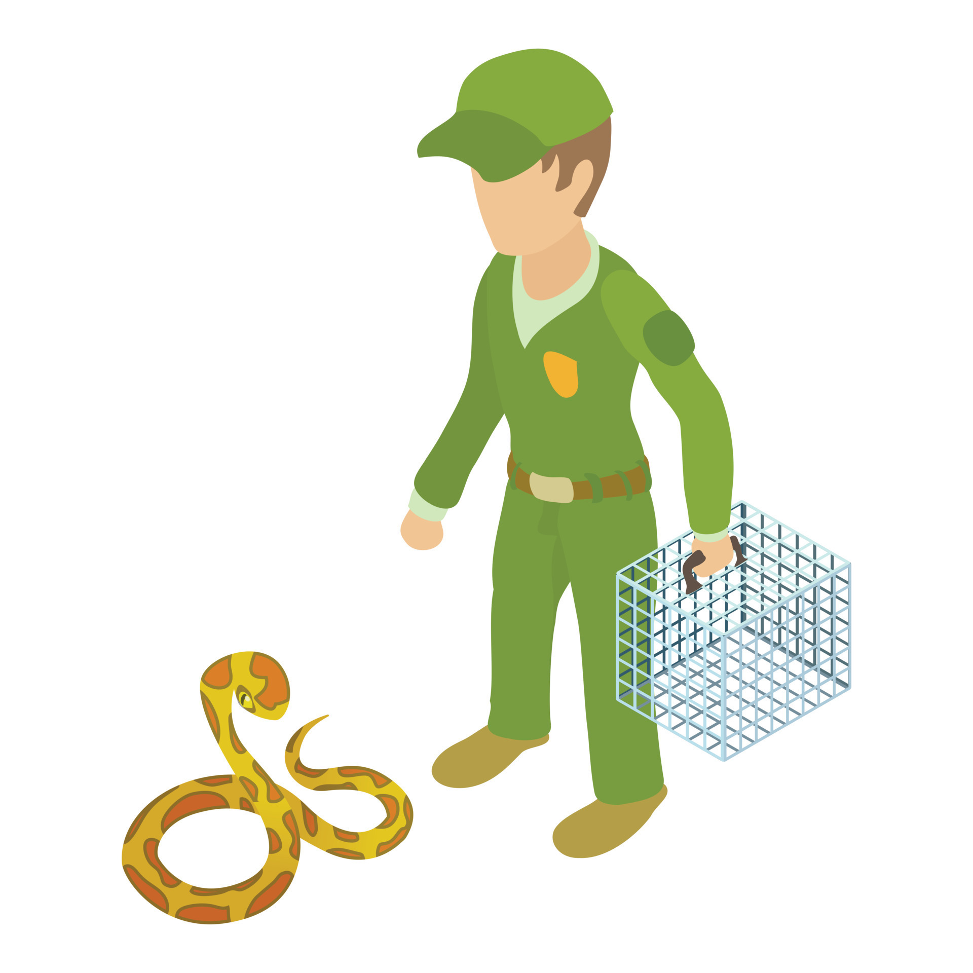 Tiger python icon isometric vector. Man in green uniform near python ...
