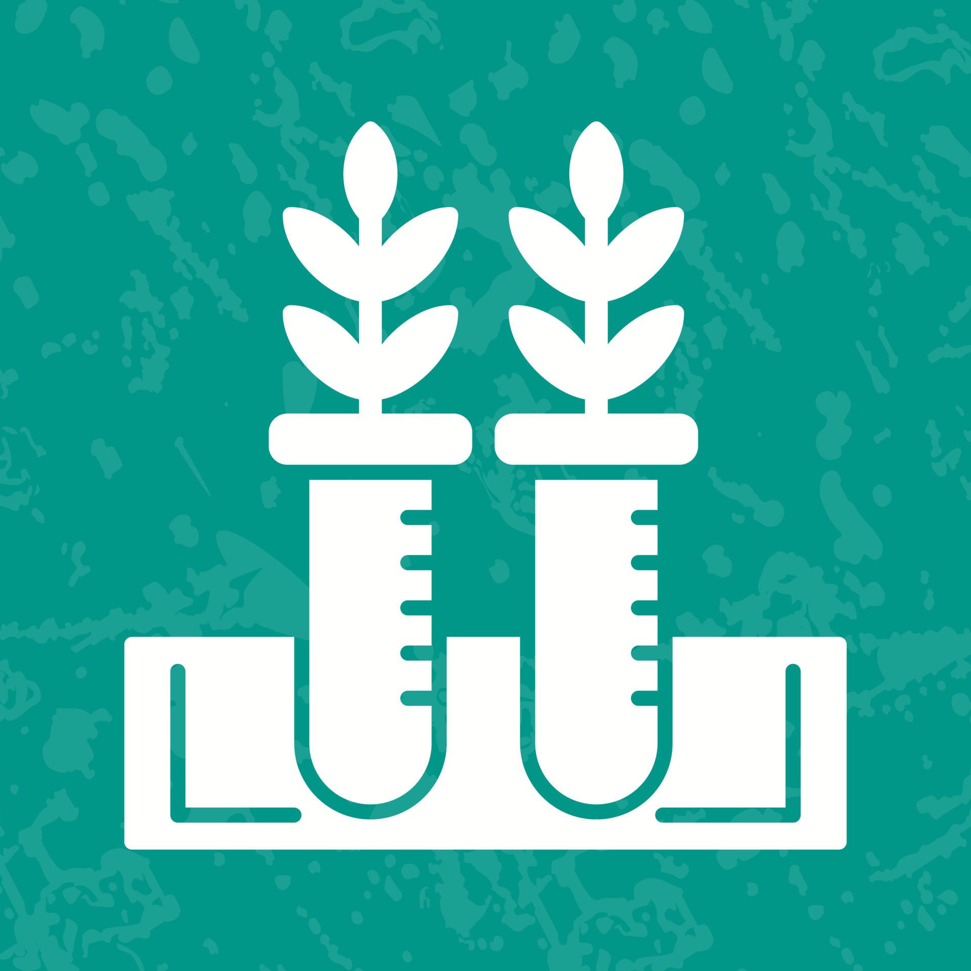 Test Vector Icon 19056749 Vector Art at Vecteezy