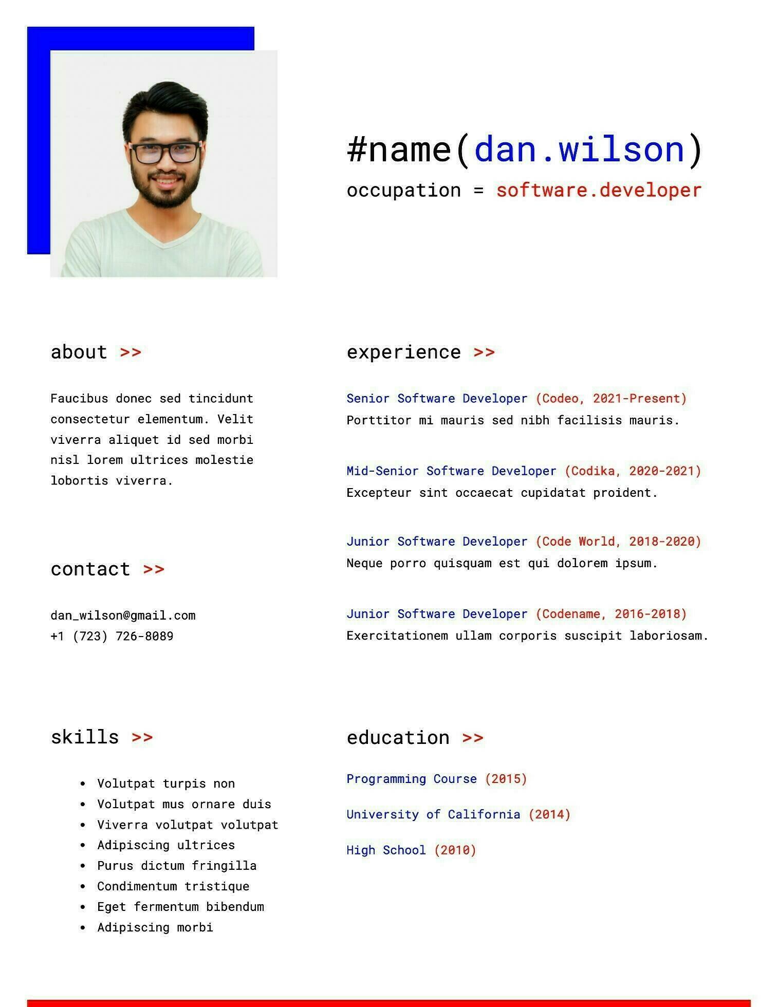 Programmer Resume Template 19073674 Template