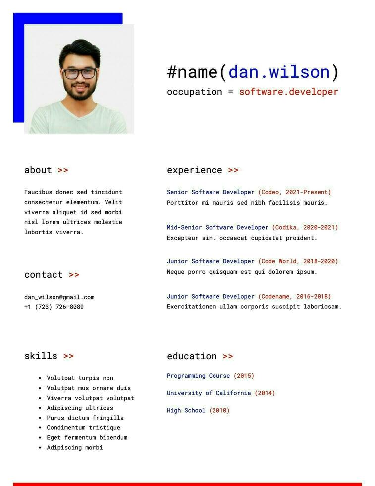 Programmer Resume Template 19073674 Template