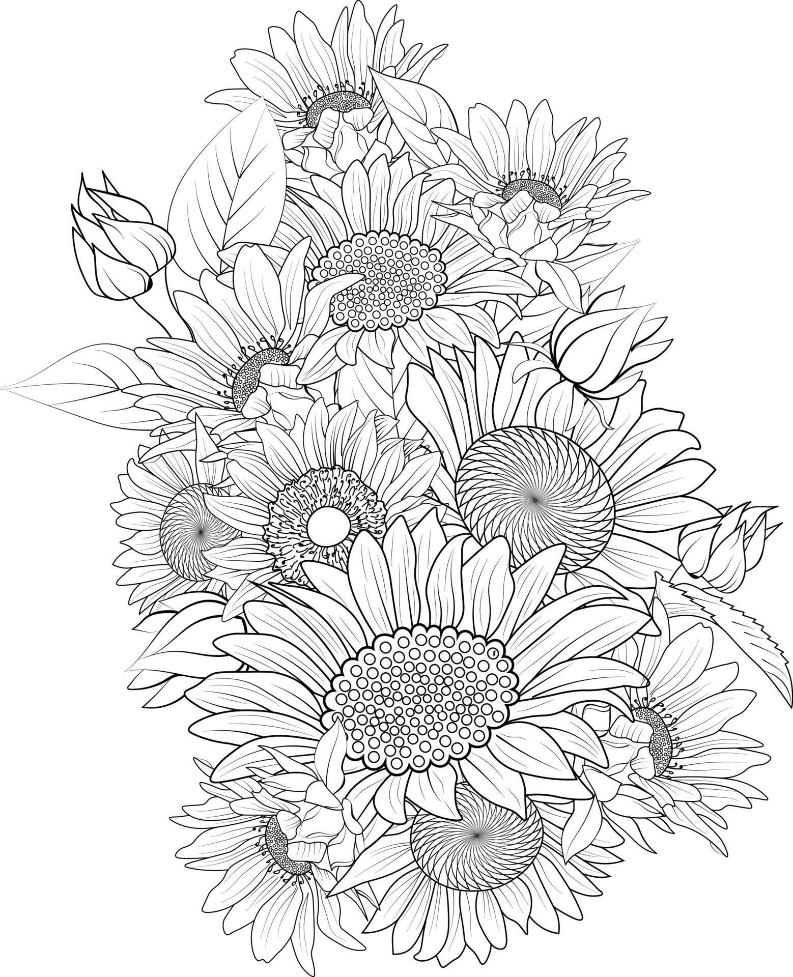 Sunflower coloring book hand drawn botanical spring elements bouquet of ...