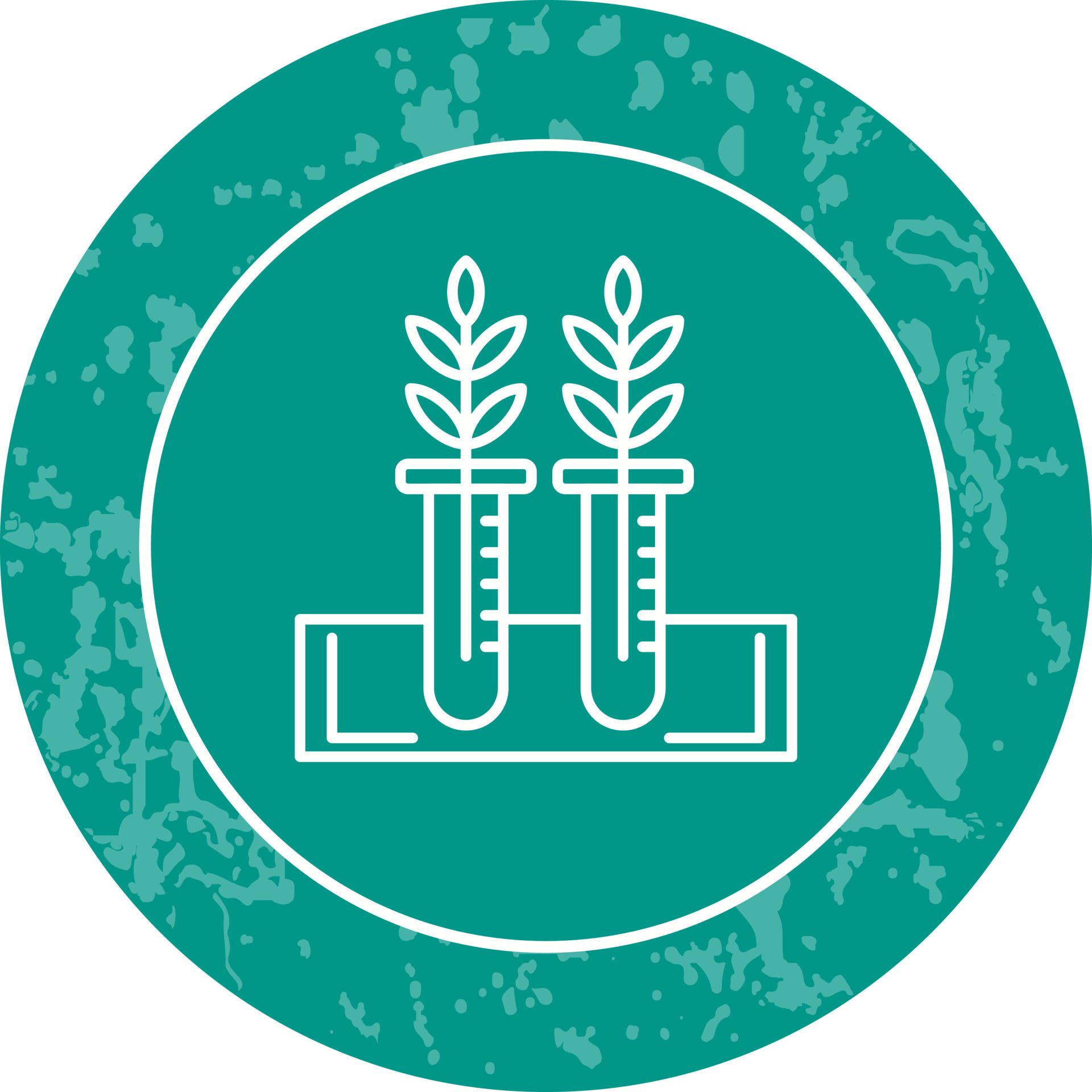 Test Vector Icon 19081943 Vector Art at Vecteezy