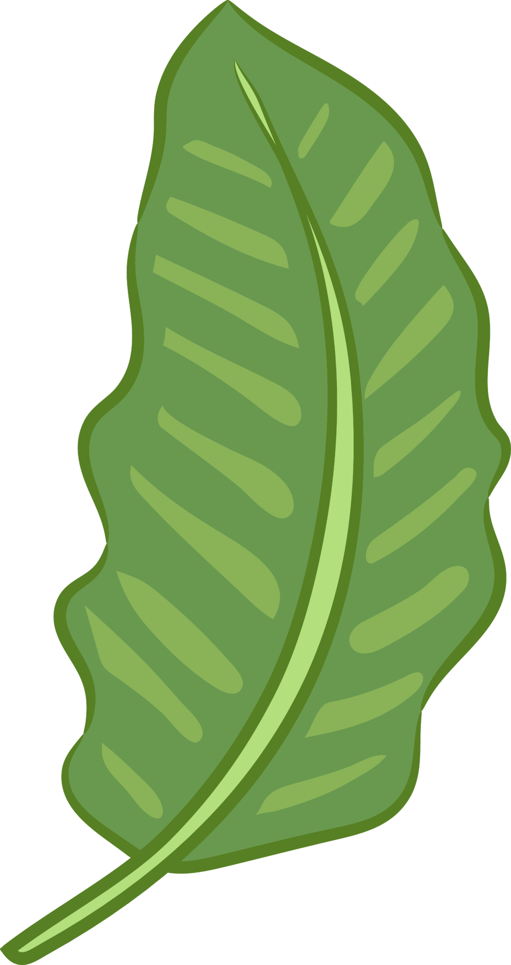 Leaf Png Graphic Clipart Design 19152909 Png