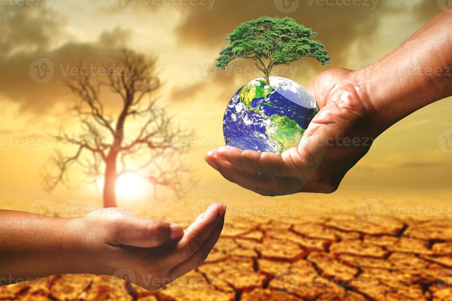 planting trees to solve drought problems 19199296 Stock Photo at Vecteezy planting trees to solve drought problems 19199296 Stock Photo at Vecteezy