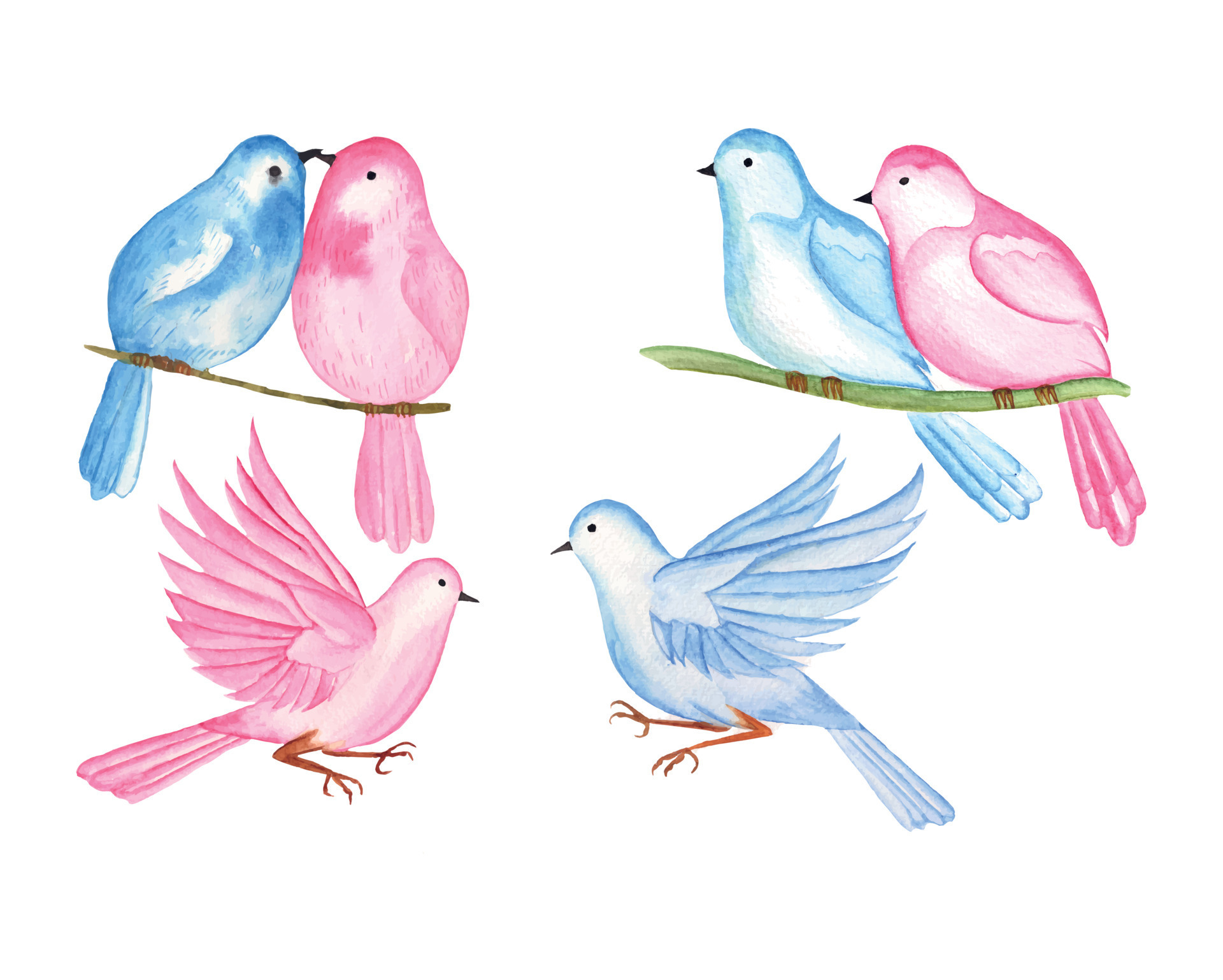 Watercolor Valentine Couple Bird clipart, valentine cute love bird ...