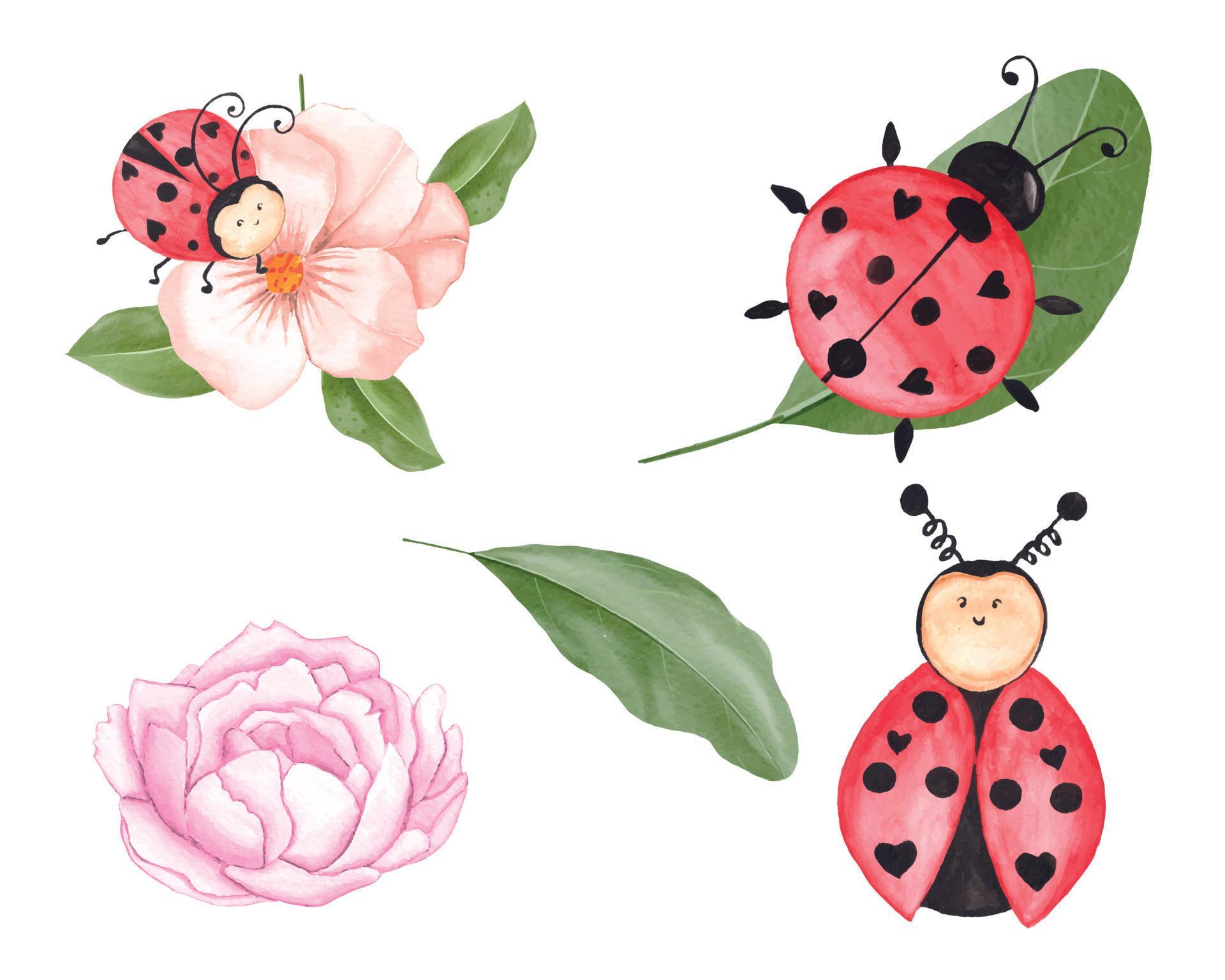 Watercolor Ladybug clipart set with leaves, cute ladybug illustration ... Watercolor Ladybug clipart set with leaves, cute ladybug illustration ...