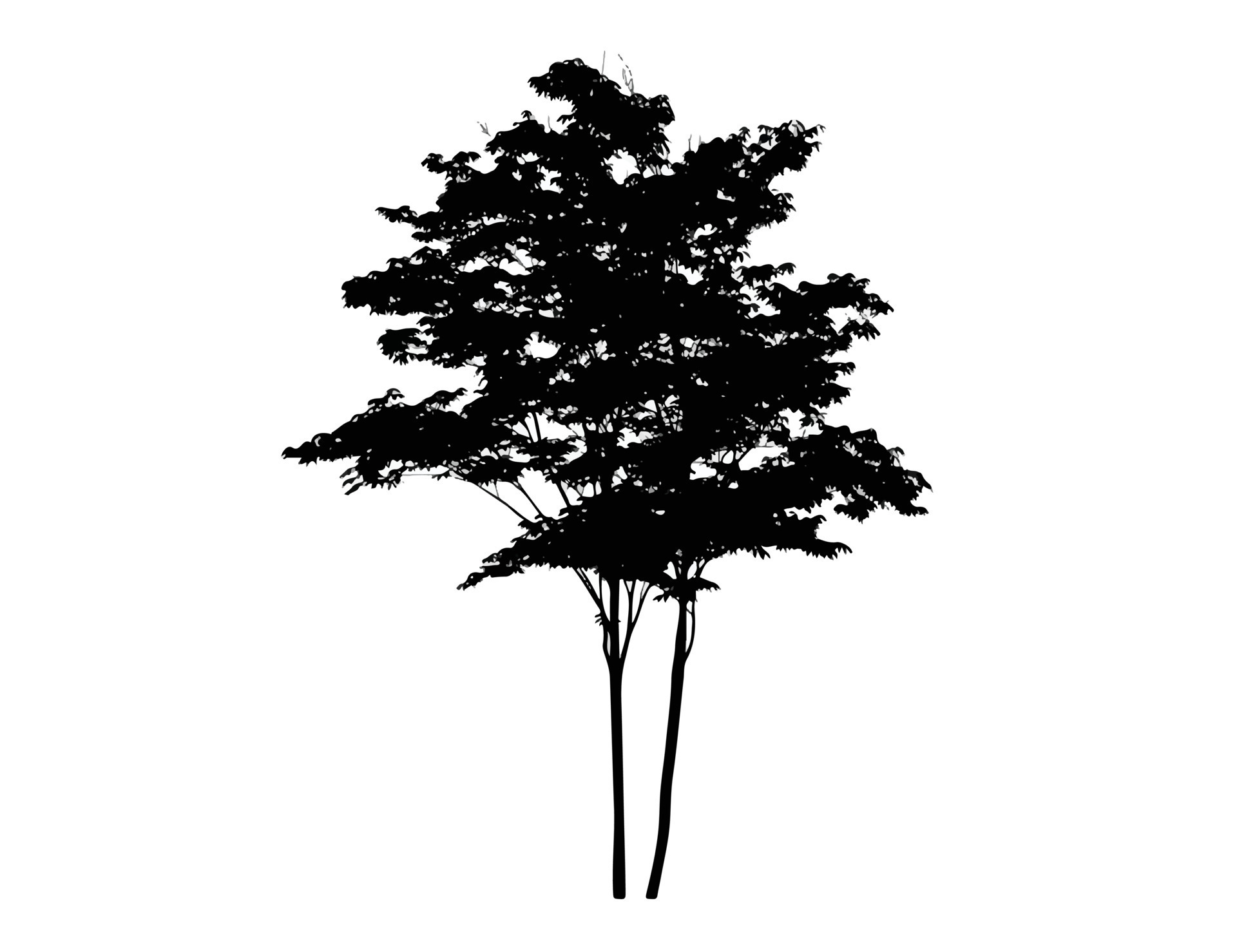tree silhouette vector illustration 19209826 Vector Art at Vecteezy