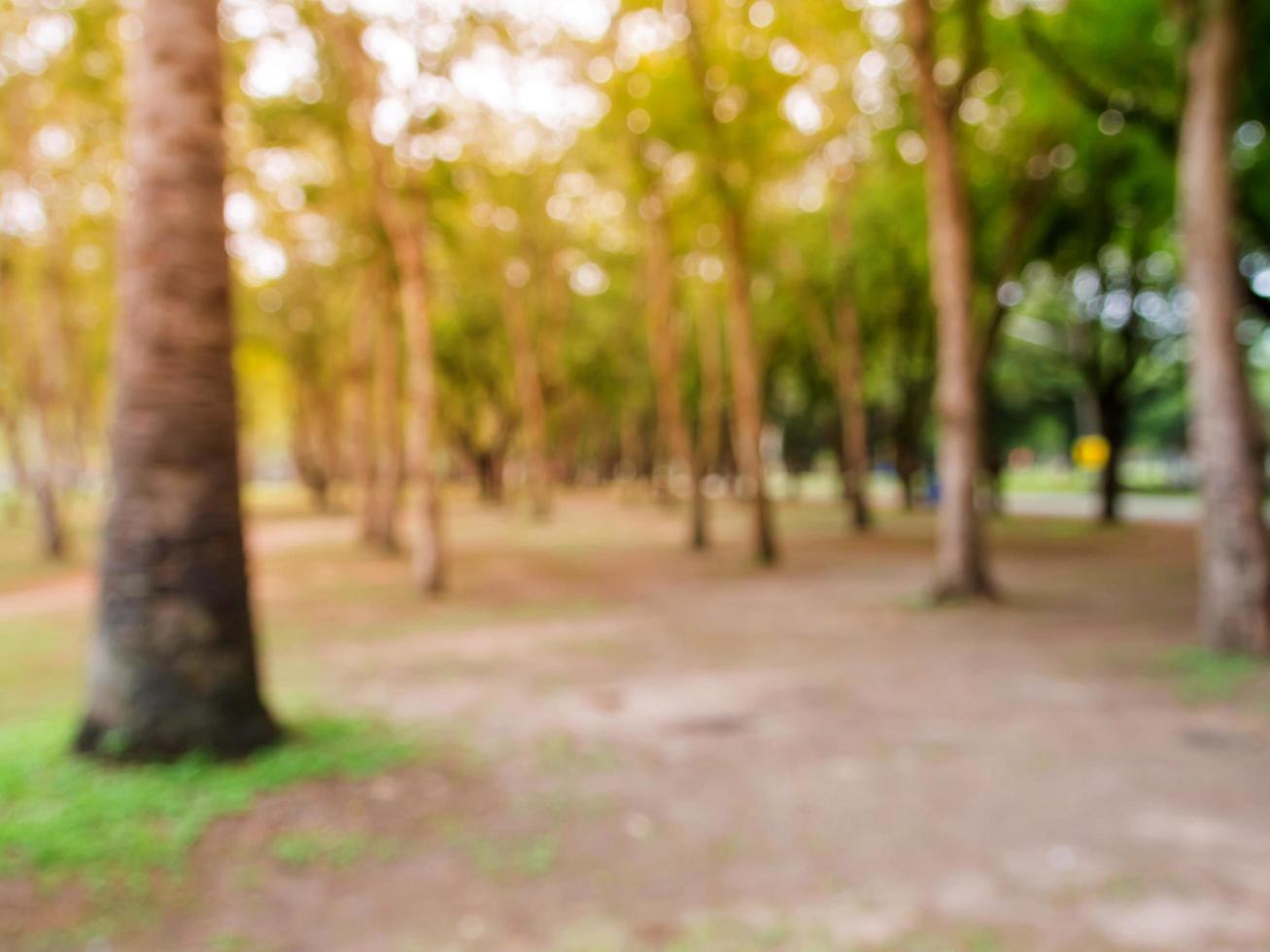 Free Blurred Nature Background Images Free - Infoupdate.org