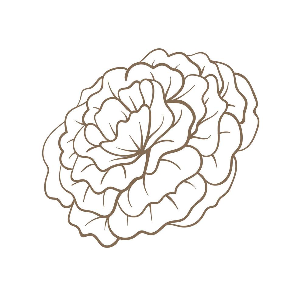 Floral botanical abstract flower line art doodle. Outline design ... Floral botanical abstract flower line art doodle. Outline design ...