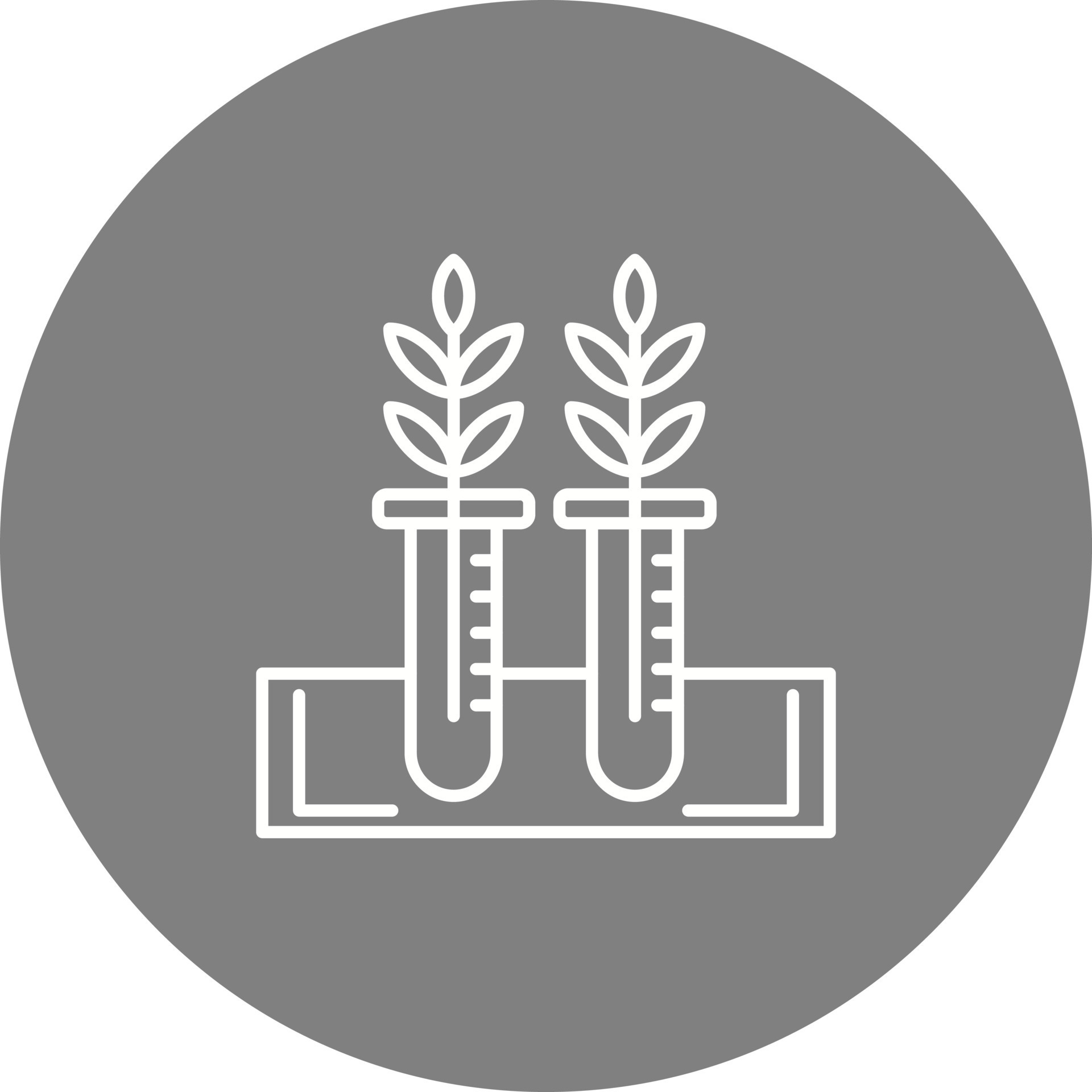 Test Vector Icon 19488275 Vector Art at Vecteezy