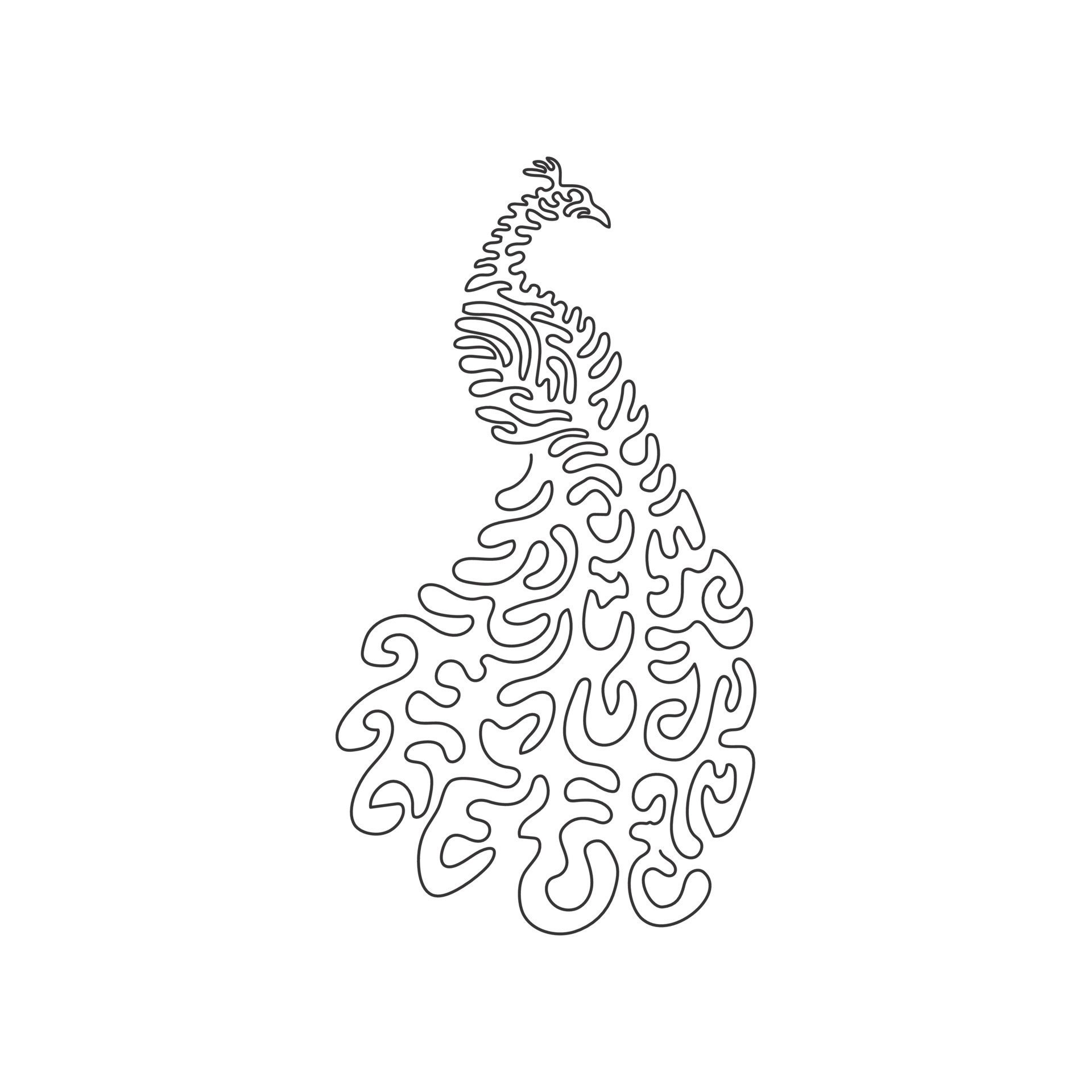 Single Swirl Continuous Line Drawing Of Adorable Feathered Peacock Abstract Artcontinuous Line