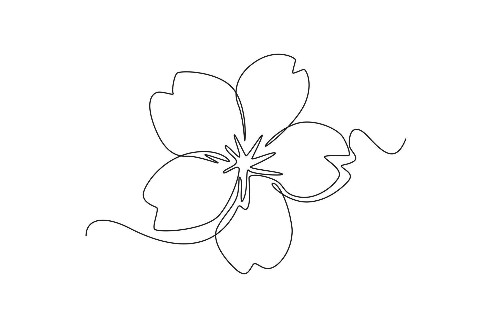 Single one line drawing Flower blossom Sakura. Cherry blossom concept. Continuous line draw ...