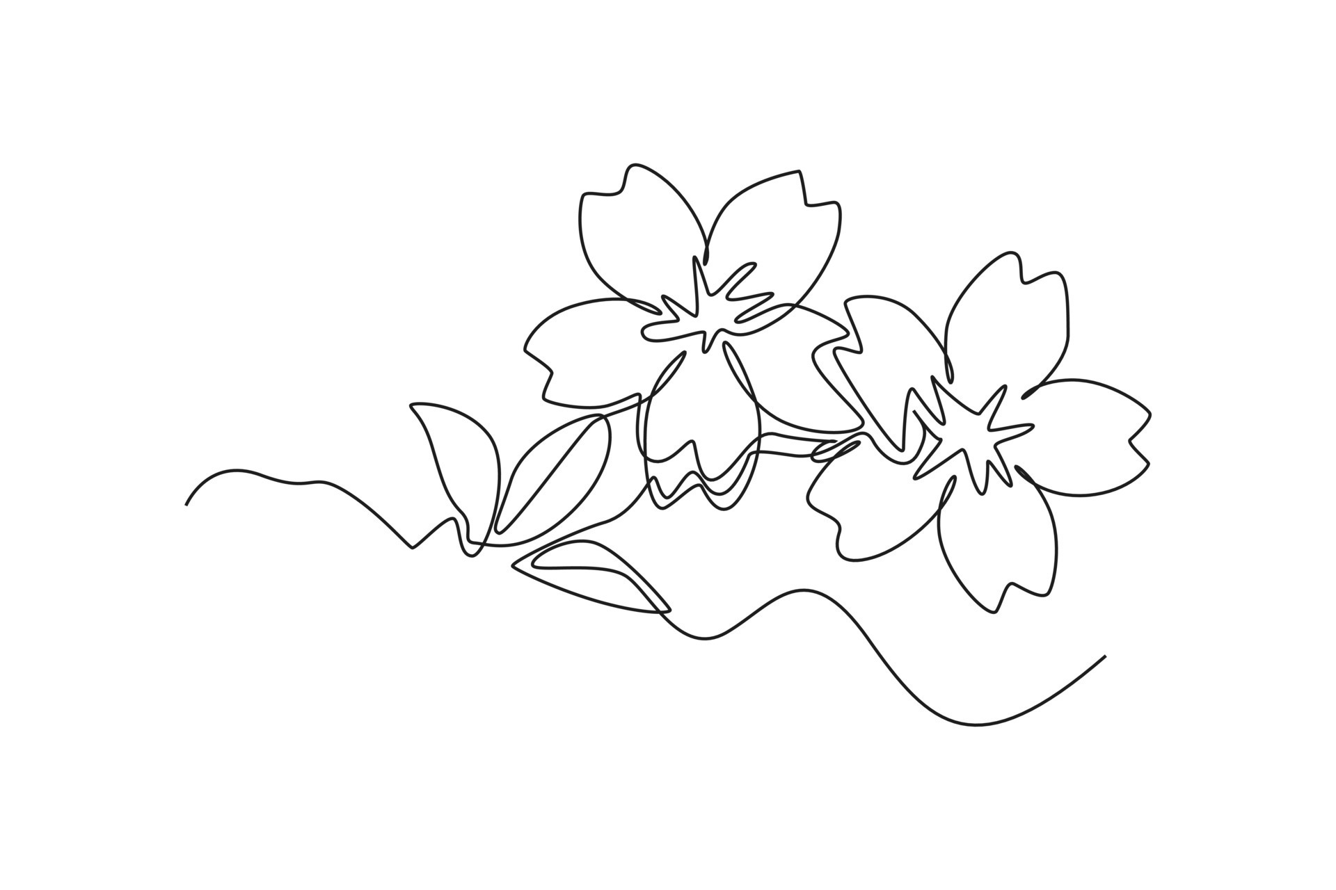 Single one line drawing Cherry tree spring flower. Cherry blossom ...