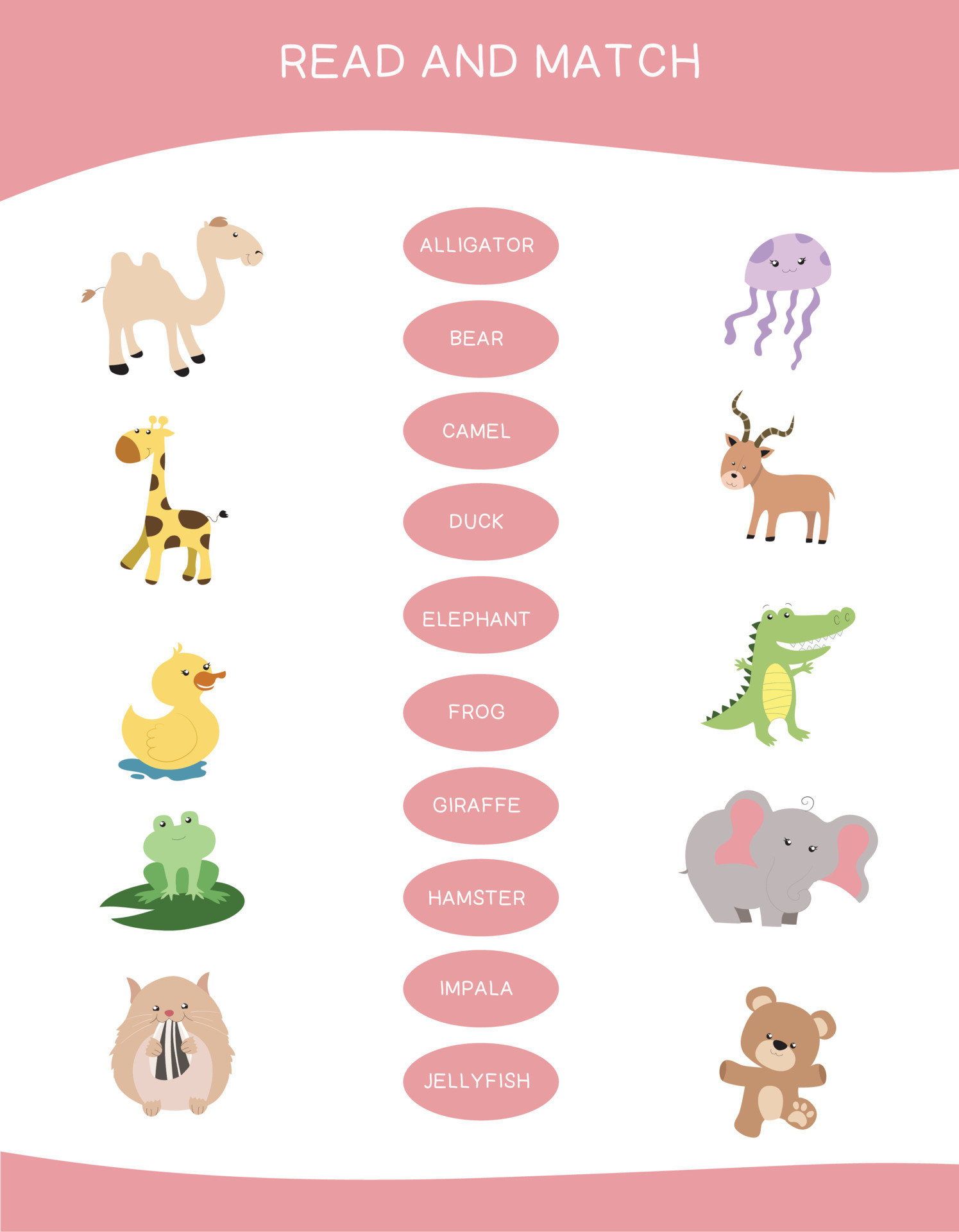 Funny Animal Pictures With Words