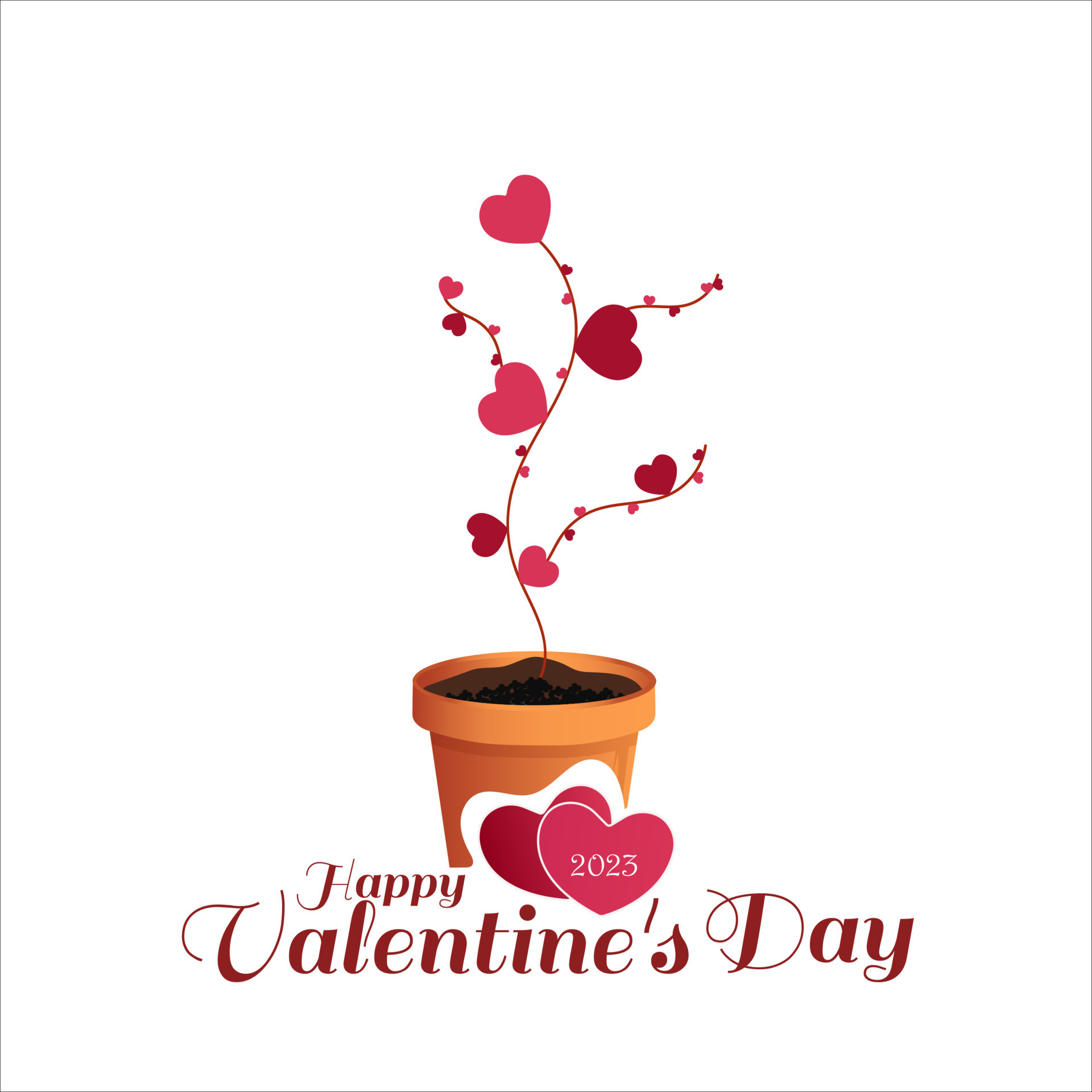 Valentine's day. Love plant growing in beautiful flower pot on white ...