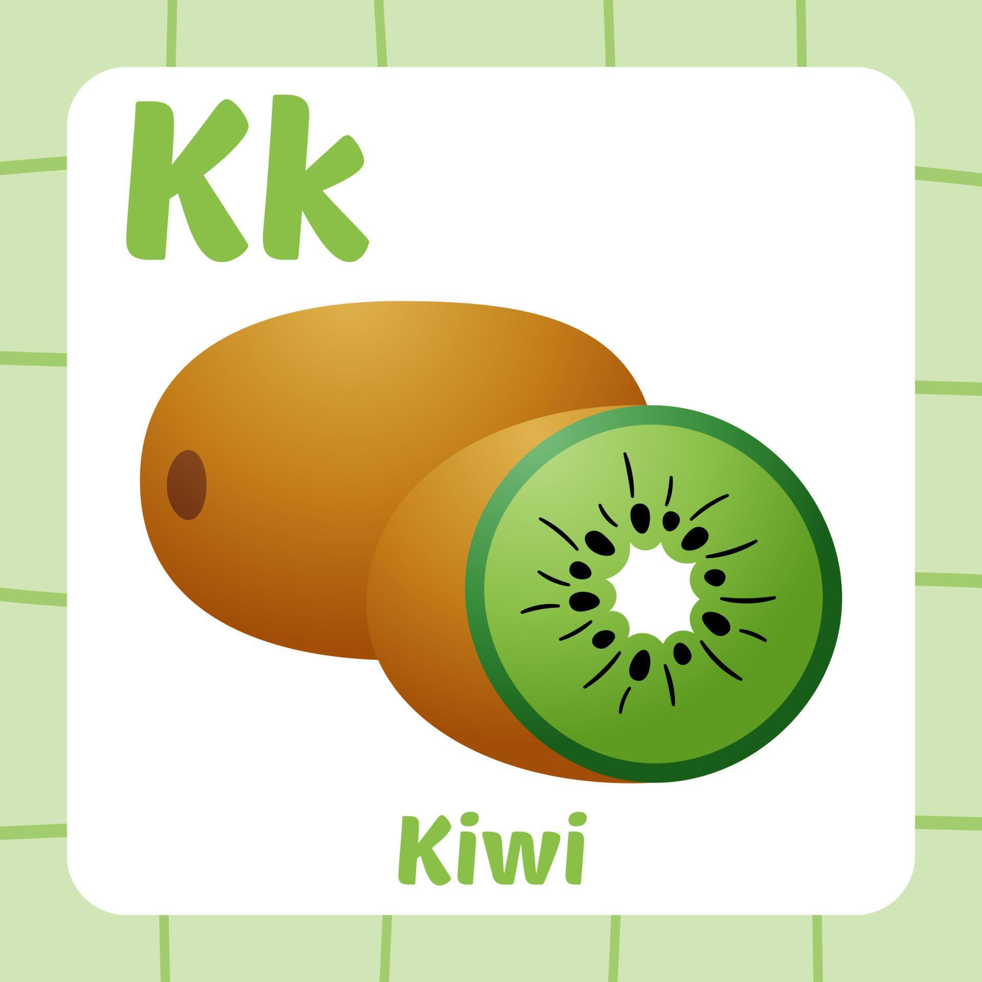 flashcard for kids, kiwi vector 19515661 Vector Art at Vecteezy