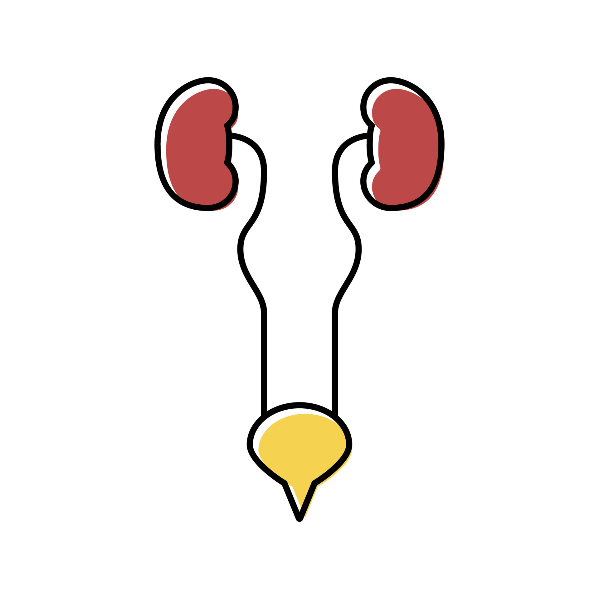 urinary system color icon vector illustration 19526371 Vector Art at ... urinary system color icon vector illustration 19526371 Vector Art at ...