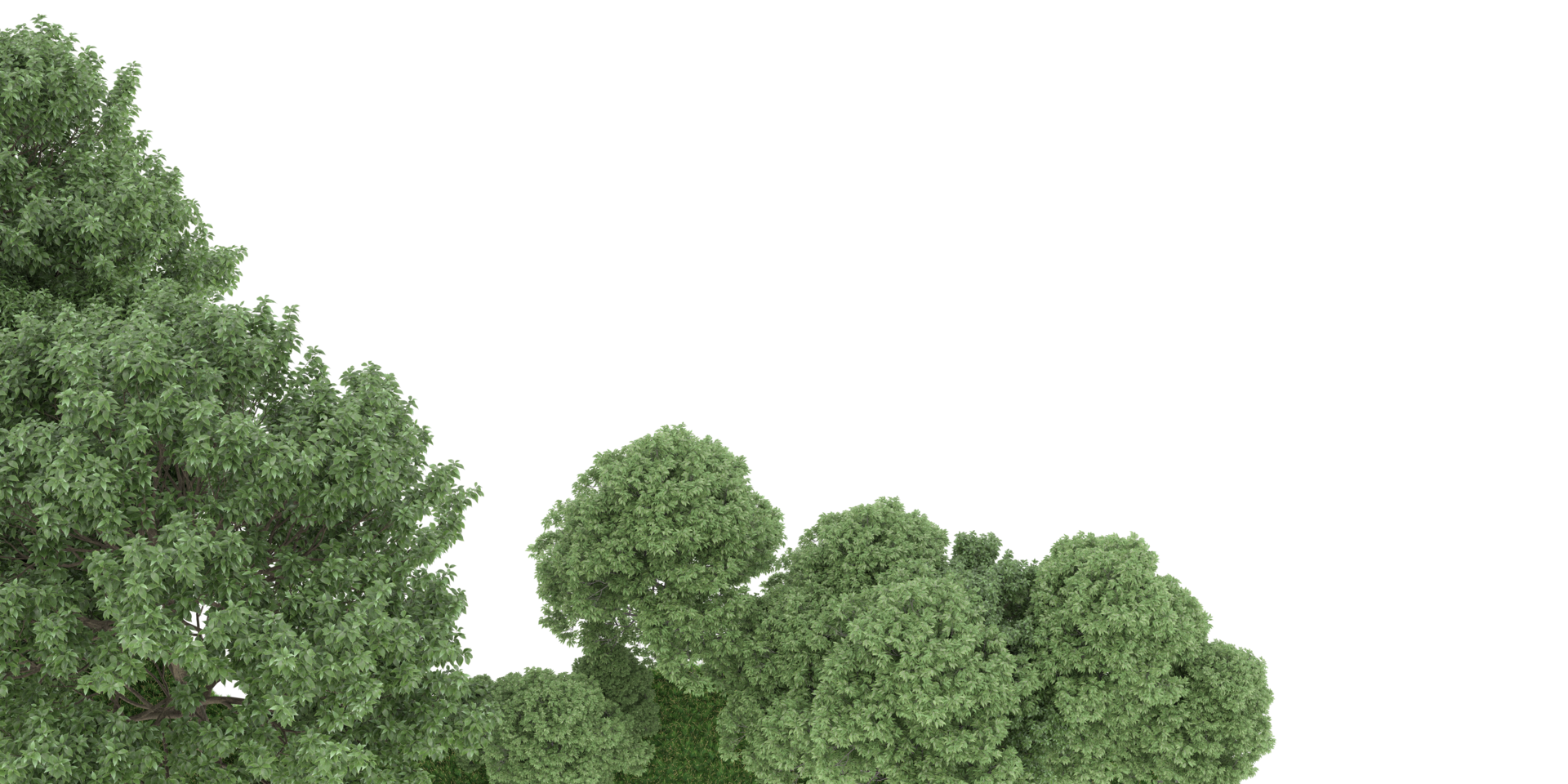 Forest Background Png