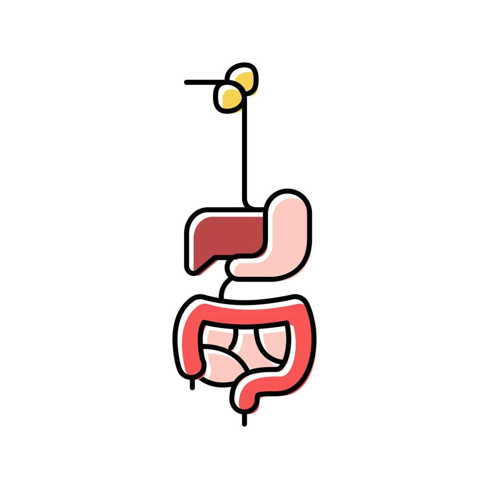 digestive system color icon vector illustration 19575611 Vector Art at ... digestive system color icon vector illustration 19575611 Vector Art at ...