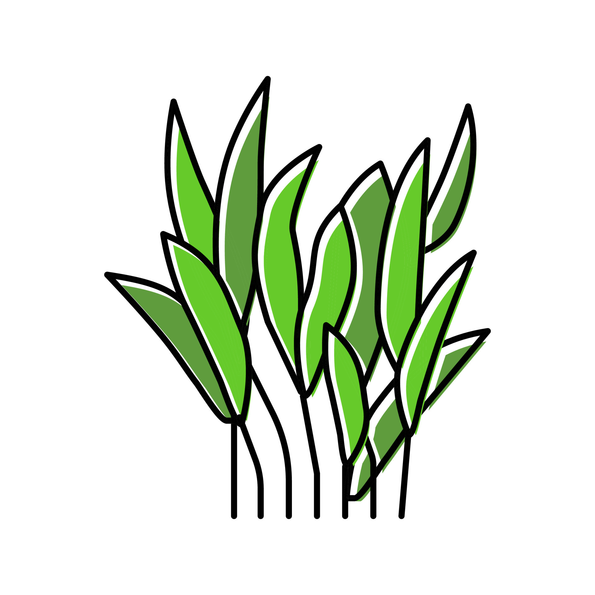 java fern color icon vector illustration 19590235 Vector Art at Vecteezy java fern color icon vector illustration 19590235 Vector Art at Vecteezy